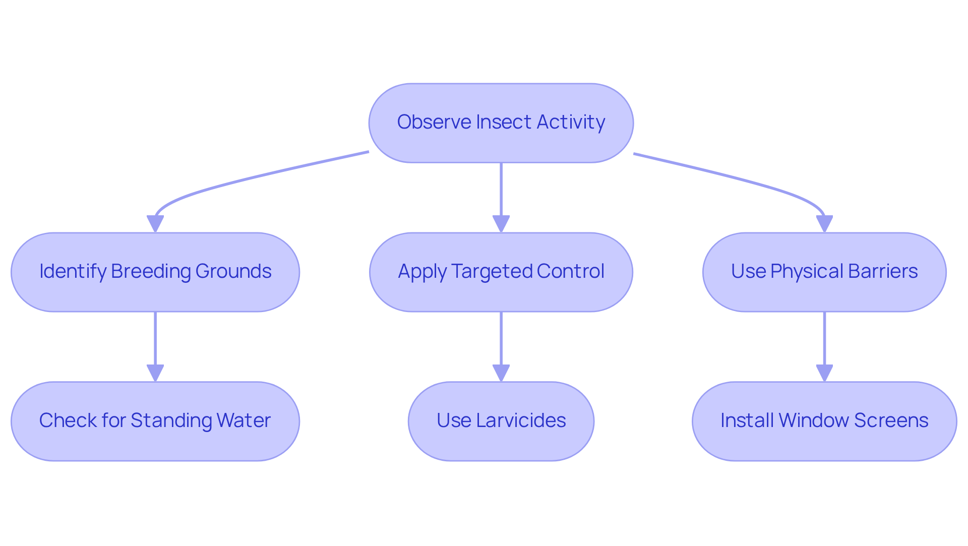 Follow the arrows to see how to manage pests effectively. Each step shows what to do next, from observing insect activity to applying various control methods. Follow the arrows to see how to manage pests effectively. Each step shows what to do next, from observing insect activity to applying various control methods.