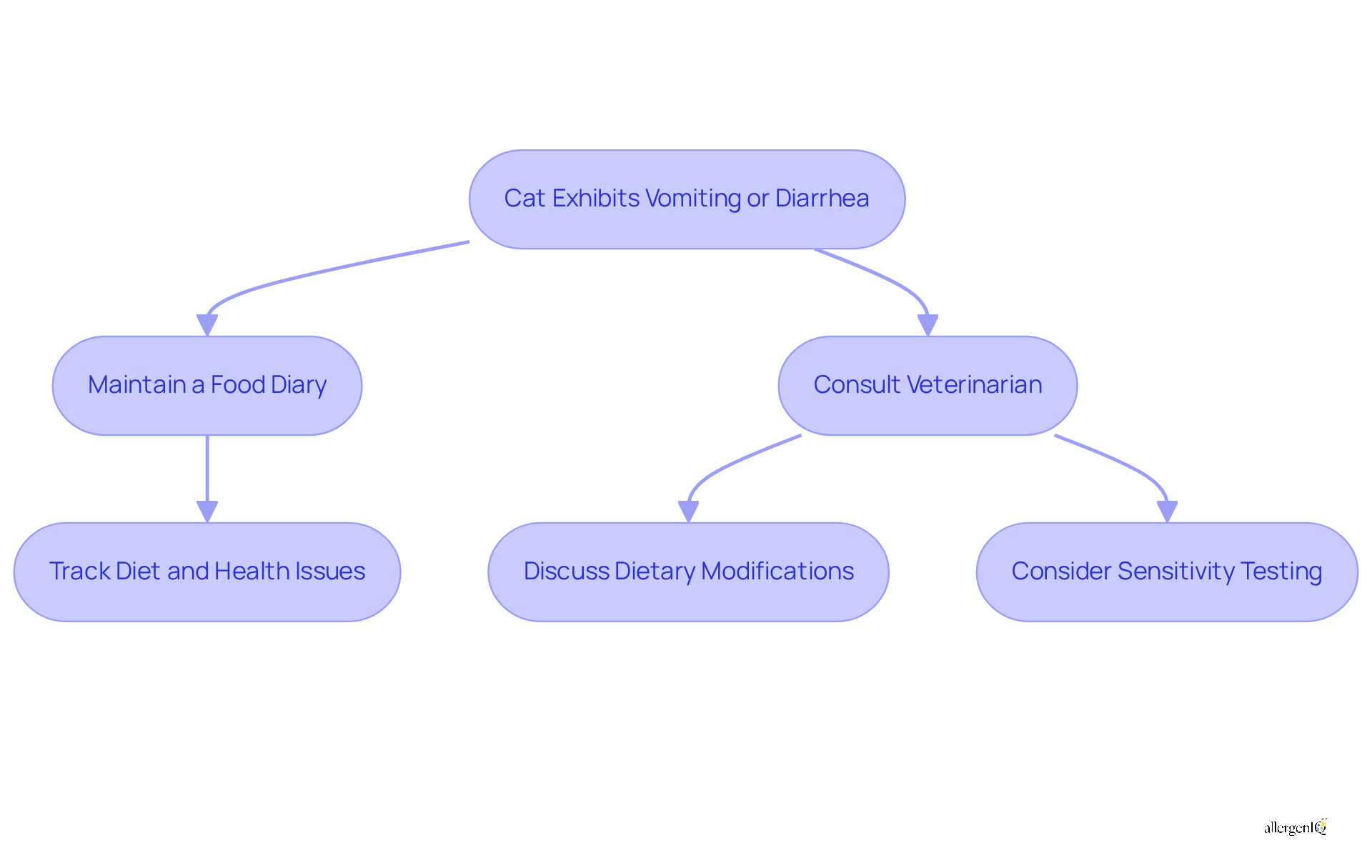 This flowchart guides you through the steps to take if your cat shows signs of vomiting or diarrhea. Start at the top and follow the arrows to see what actions to take next, from keeping a food diary to consulting your vet for tailored advice.