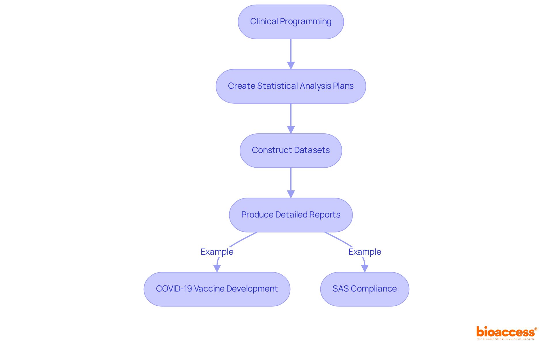 Each box represents a key step in the clinical programming process. Follow the arrows to see how each step connects and contributes to the overall goal of successful clinical trials.