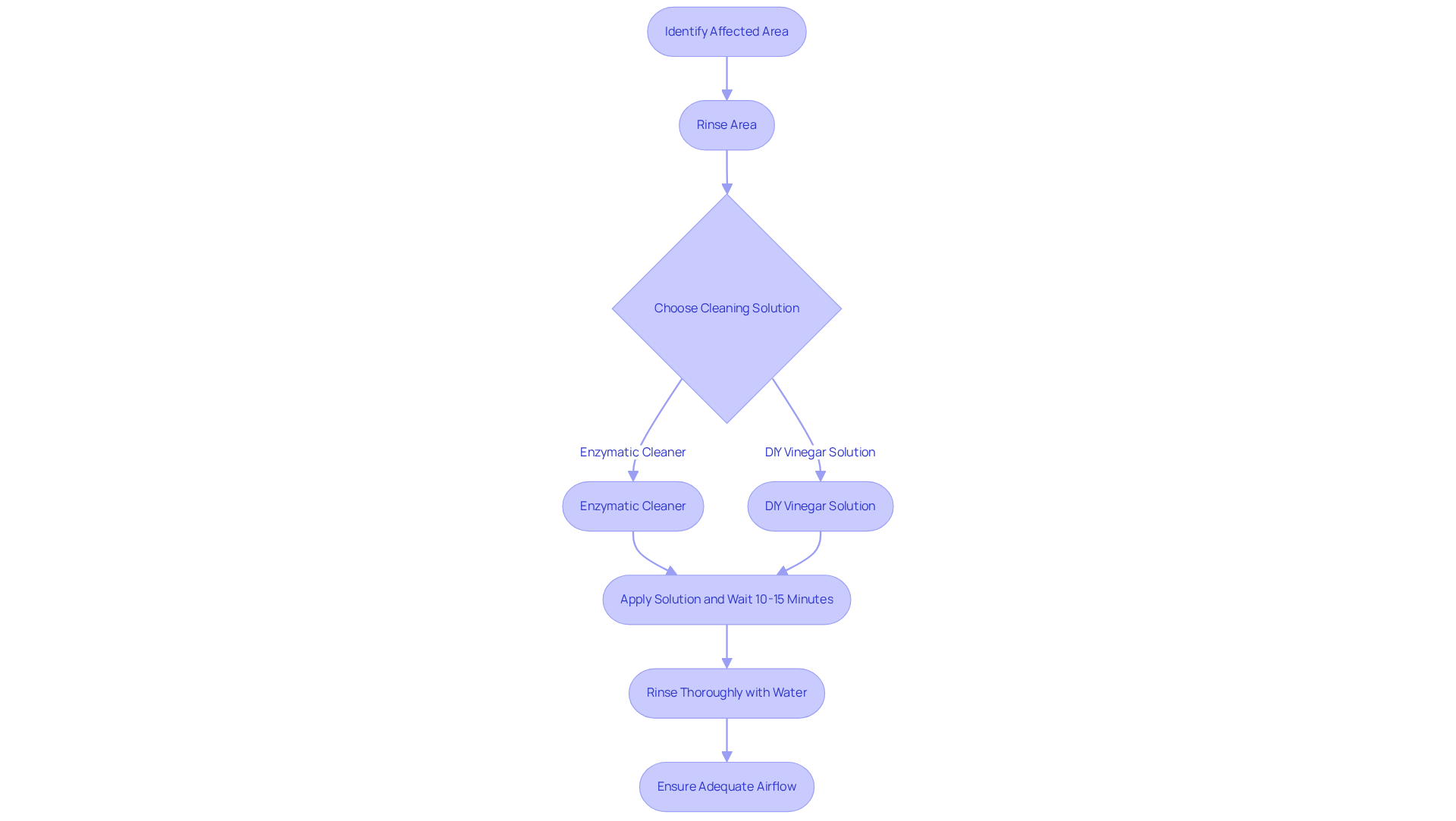 Follow the arrows to see each step in the cleaning process. Start by identifying the area, then rinse, choose your cleaning solution, apply it, wait, rinse again, and ensure good airflow for safety.