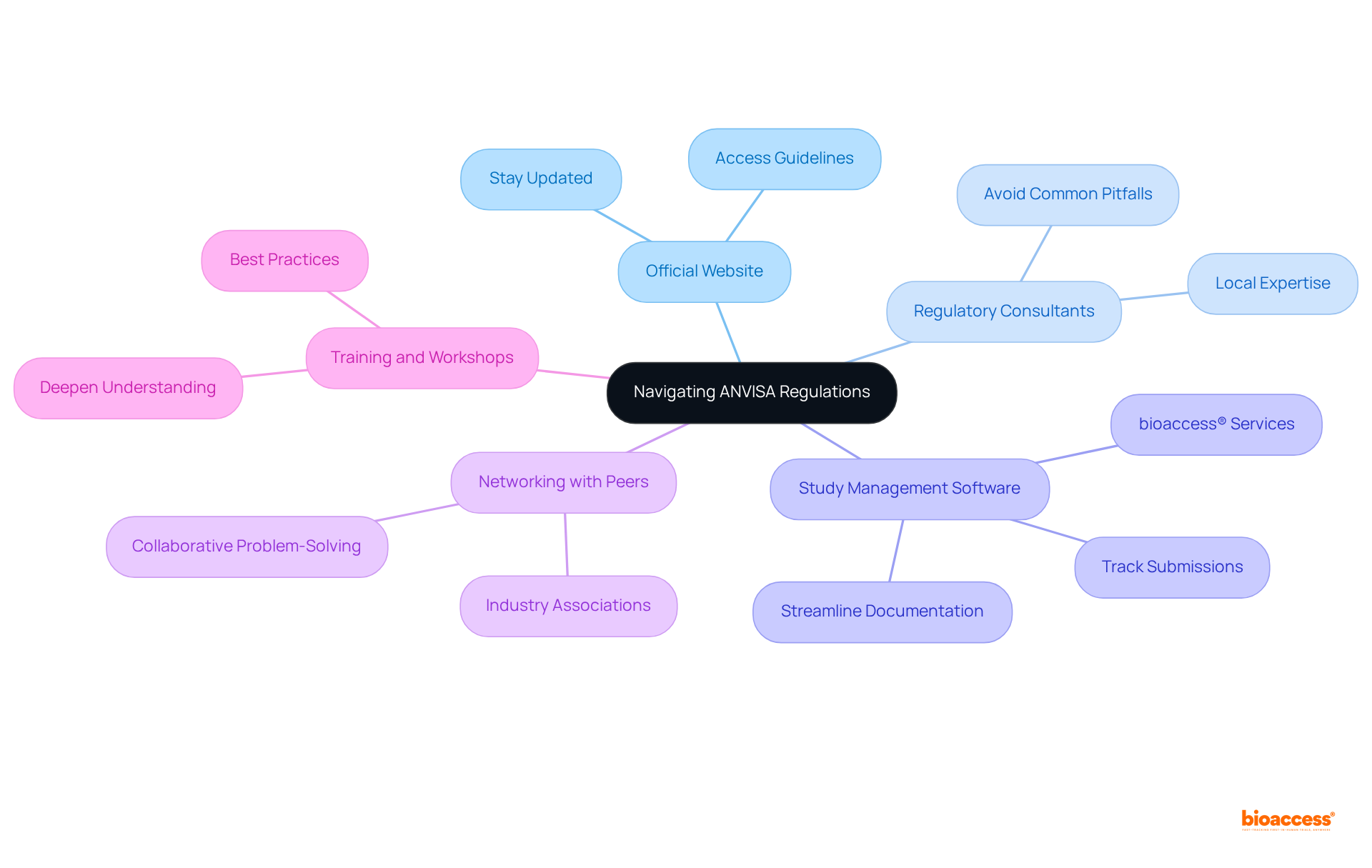 The central node represents the main theme of navigating ANVISA regulations. Each branch shows a different resource or tool, with further details branching out to illustrate their specific contributions to compliance efforts.