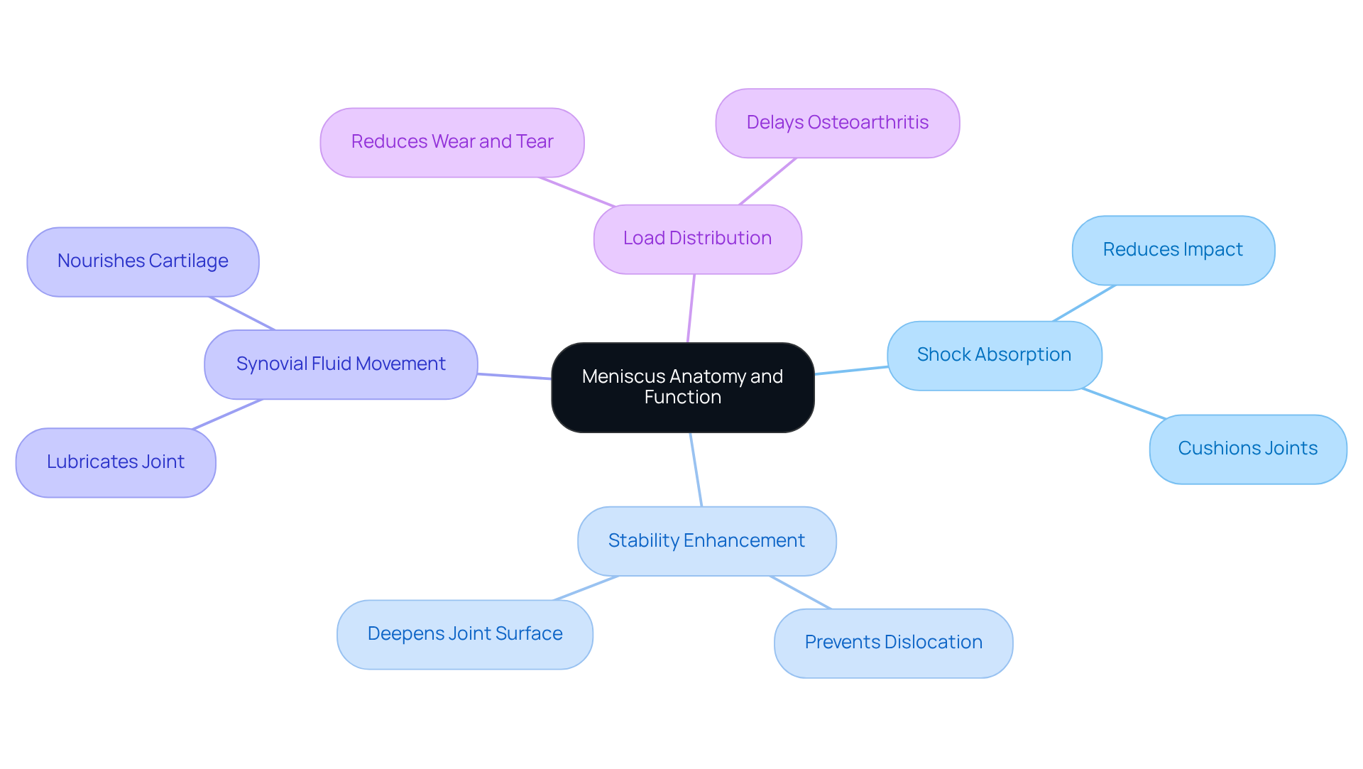 This mindmap starts with the meniscus at the center, branching out to show its key functions. Each branch explains how the meniscus helps your knee, and the sub-branches provide more details about each function. It's a visual way to see how everything connects!