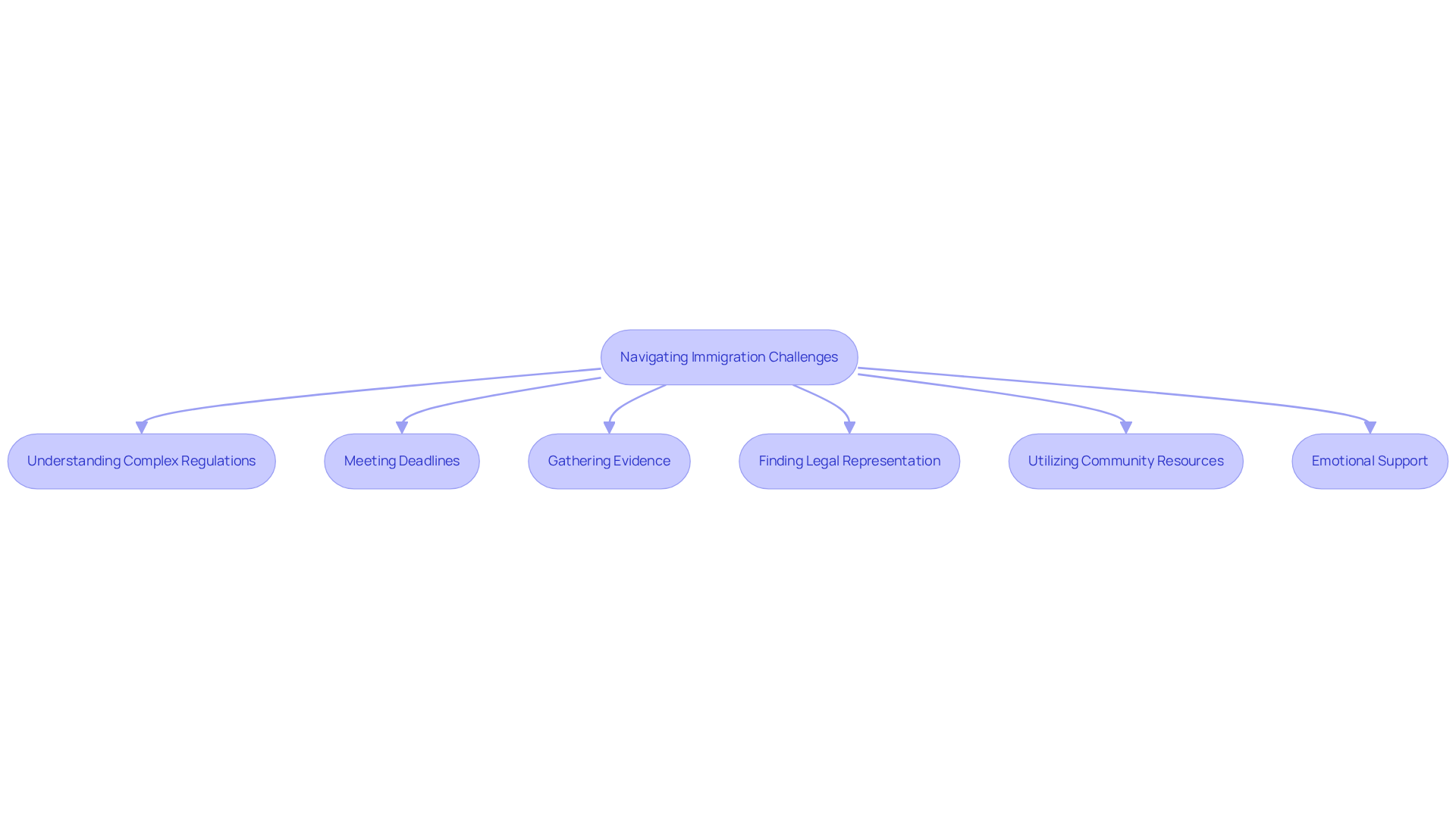 Each box represents a strategy to help you manage immigration challenges. Follow the arrows to see how these strategies connect and support each other in the process.