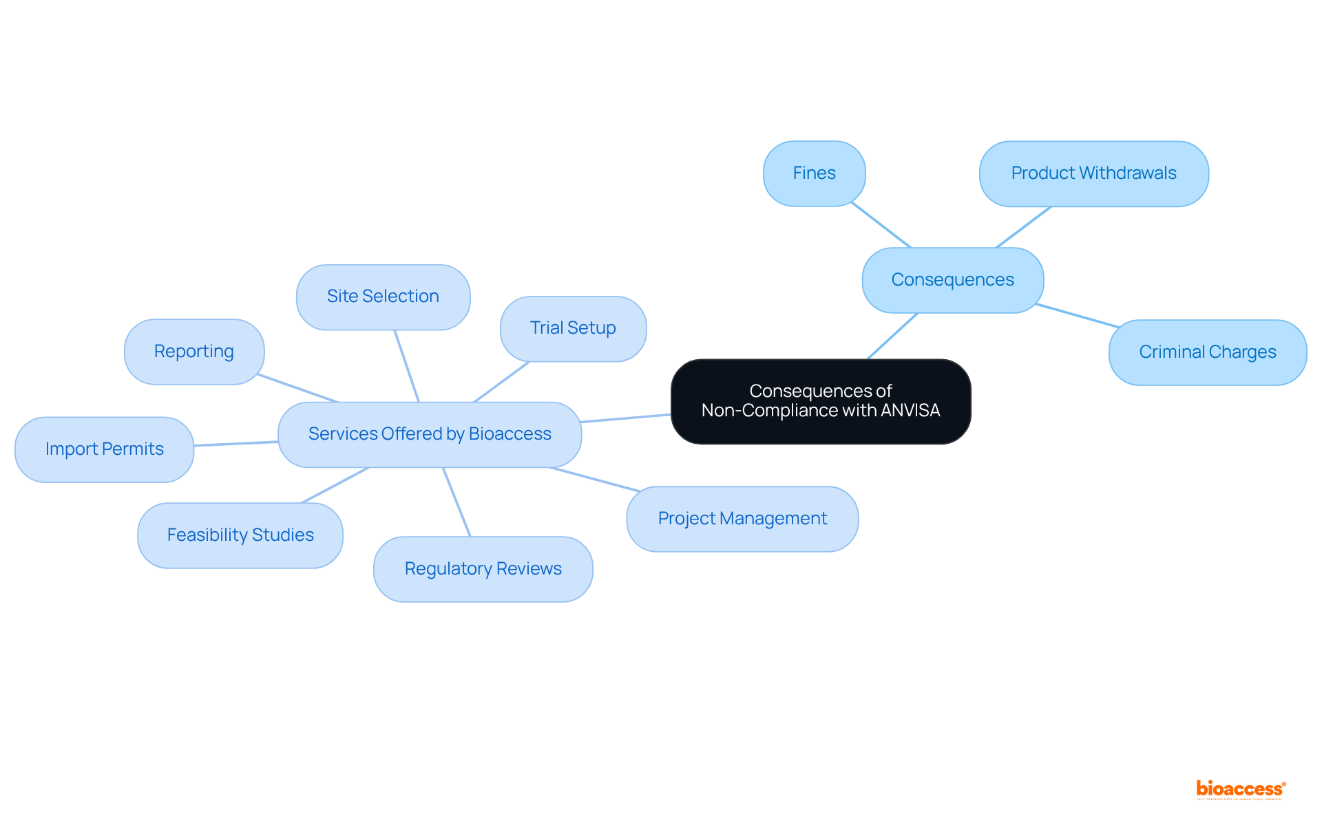 The center shows the main theme of non-compliance consequences, with branches outlining specific repercussions and services that help navigate these challenges.