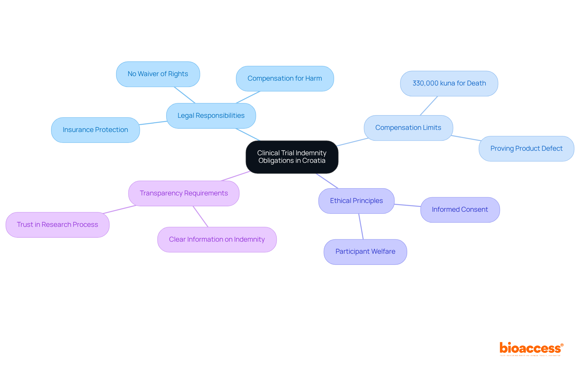 The central node represents the main topic, while branches show related areas of responsibility and requirements. Each color-coded branch helps you see how different aspects of indemnity obligations connect to the overall framework.