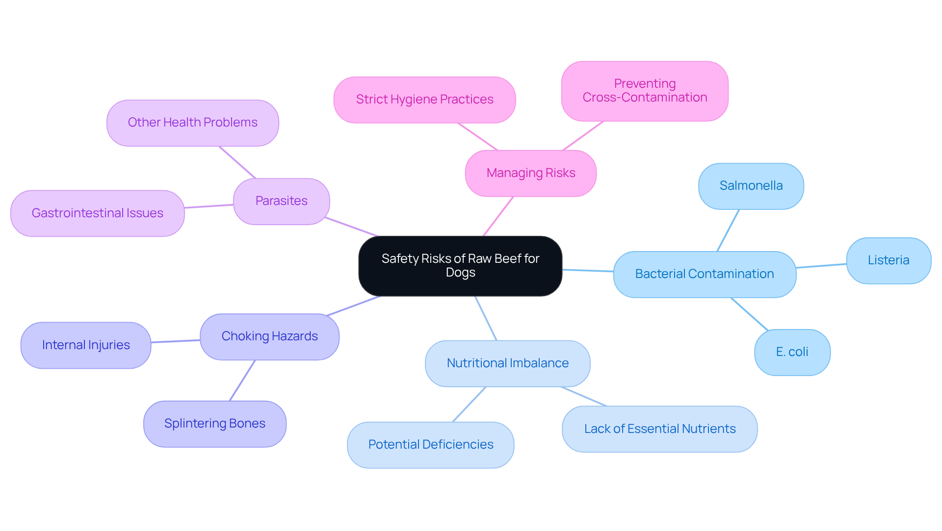 This mindmap starts with the main topic in the center and branches out to show different risks associated with feeding raw beef to dogs. Each branch provides insight into specific dangers, making it easier to understand how they relate to your pet's health.