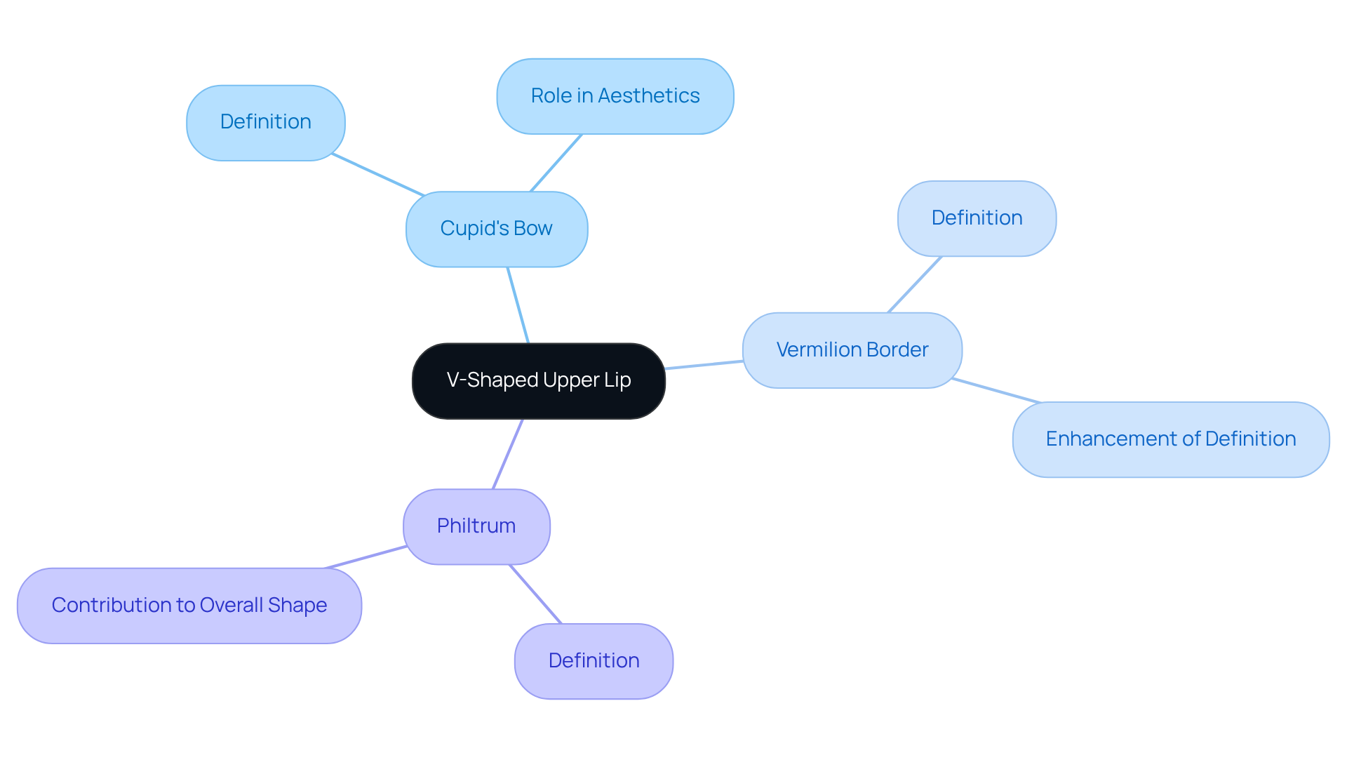 At the center, you'll find the main concept of the V-shaped upper lip. Follow the branches to explore its key components, each contributing to the overall beauty and symmetry of the lips. This map helps you understand how these elements work together to create an alluring appearance. At the center, you'll find the main concept of the V-shaped upper lip. Follow the branches to explore its key components, each contributing to the overall beauty and symmetry of the lips. This map helps you understand how these elements work together to create an alluring appearance.