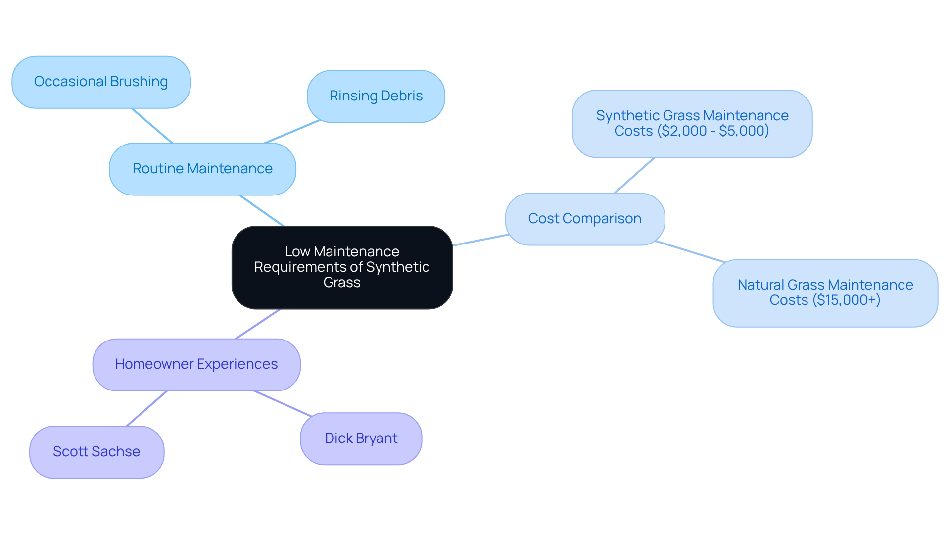 The central node represents the main topic, while the branches show related aspects. Each color-coded branch helps you see how routine tasks, costs, and personal experiences connect to the idea of low maintenance.