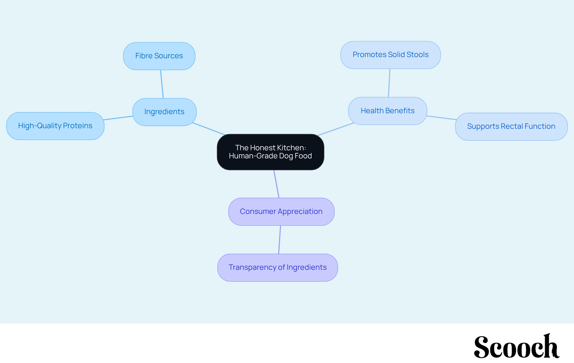 The center represents The Honest Kitchen dog food, and the branches show different aspects like ingredients and benefits. Each color-coded branch helps you understand how everything connects to support your dog's digestive health. The center represents The Honest Kitchen dog food, and the branches show different aspects like ingredients and benefits. Each color-coded branch helps you understand how everything connects to support your dog's digestive health.