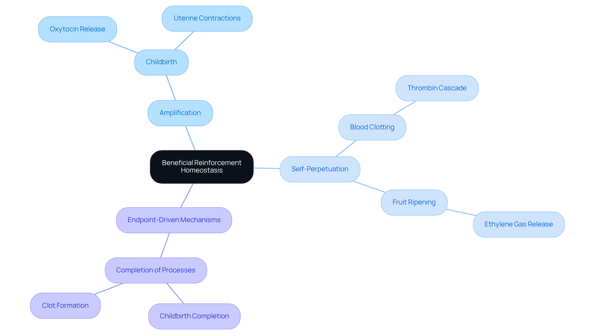 The central node represents the main concept, while branches illustrate key traits and examples. Follow the branches to understand how each characteristic contributes to biological processes.
