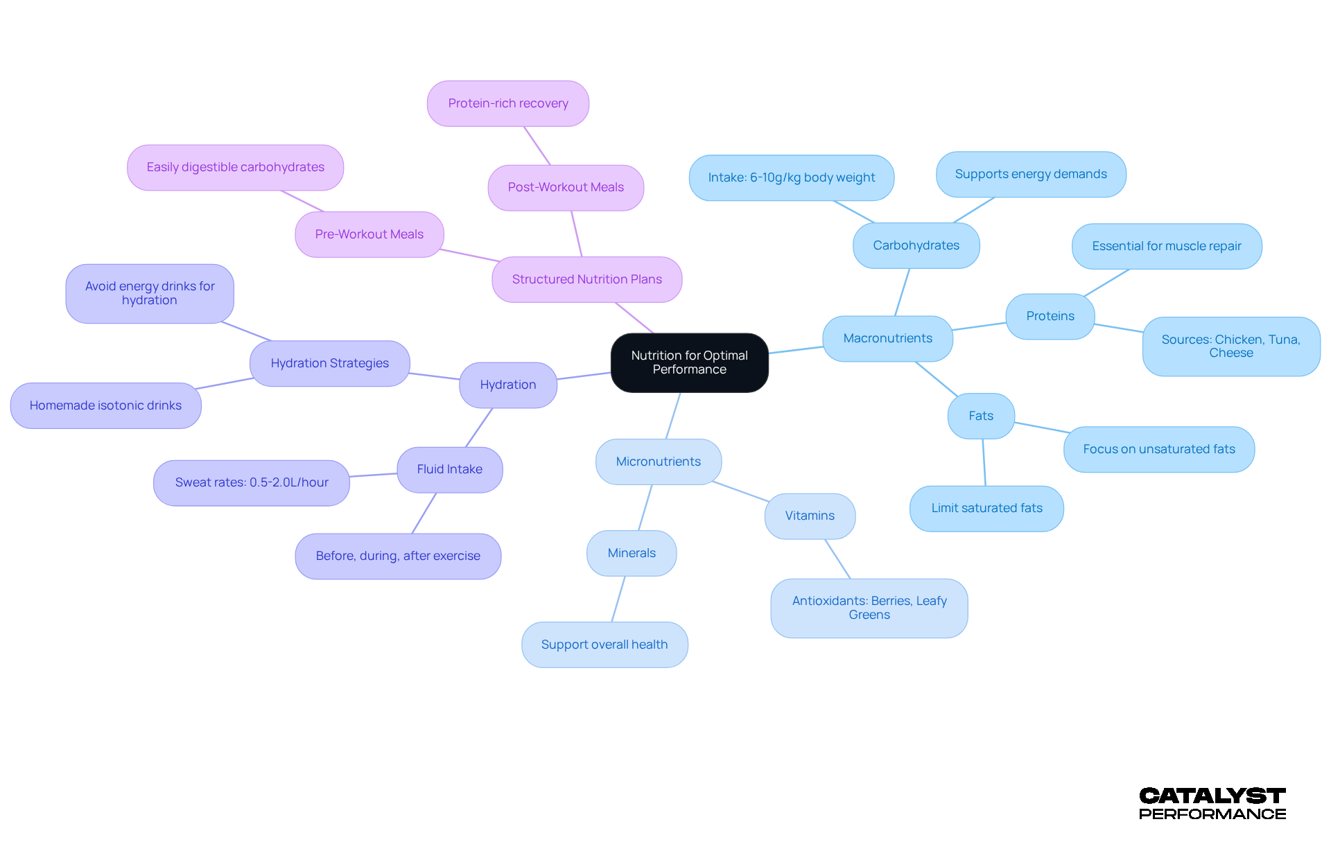 The central node represents the importance of nutrition, while the branches show different aspects that contribute to athletic performance. Each category highlights key components that athletes should focus on to enhance their training and recovery. The central node represents the importance of nutrition, while the branches show different aspects that contribute to athletic performance. Each category highlights key components that athletes should focus on to enhance their training and recovery.