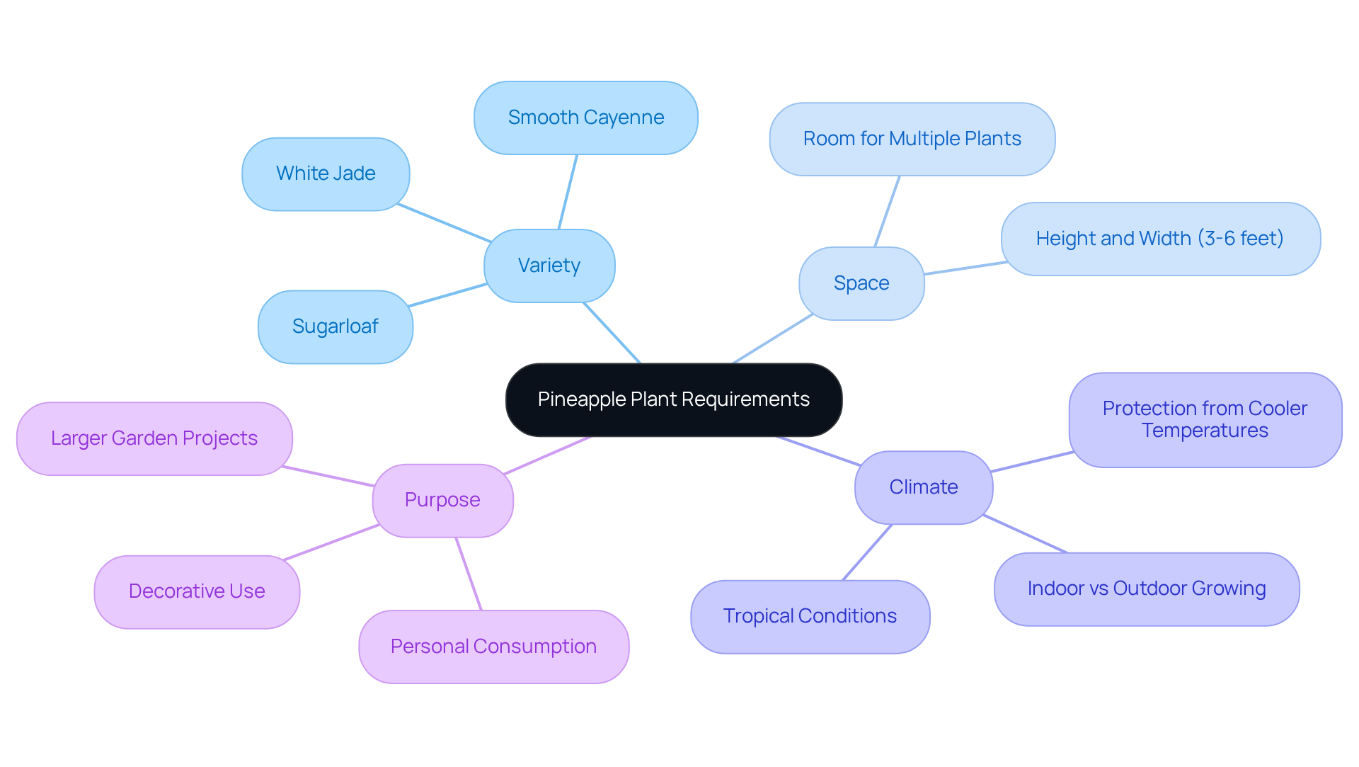 The mindmap starts at the center with the overall requirements for your pineapple plant, branching out into key categories that detail what you need to consider. Each branch helps you explore specific aspects of selecting the right plant for your gardening goals.