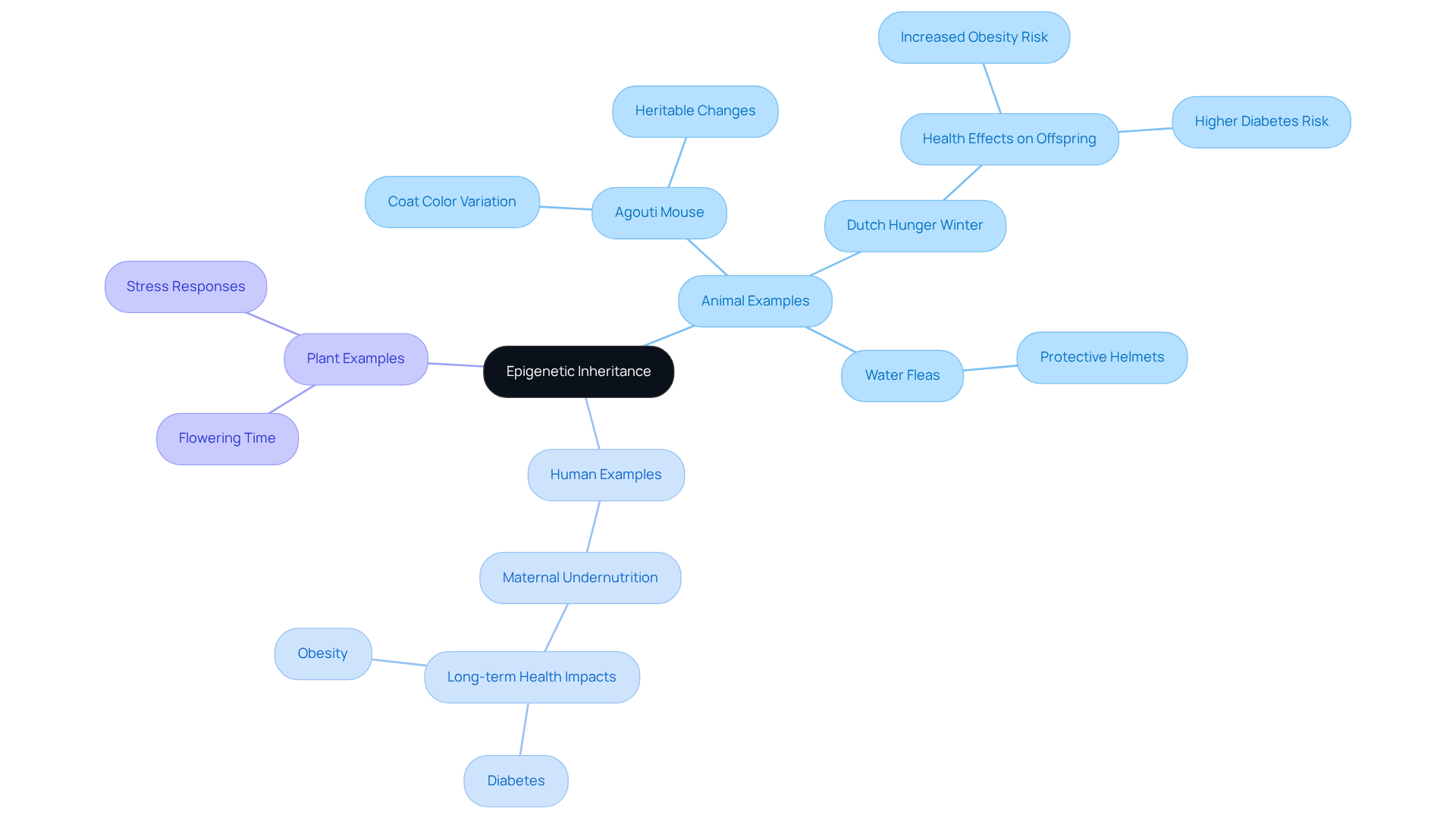 This mindmap starts with the main idea of epigenetic inheritance at the center. From there, you can explore various examples in animals, humans, and plants. Each branch leads to specific cases that illustrate how environmental factors can influence genetic traits without changing the DNA itself.