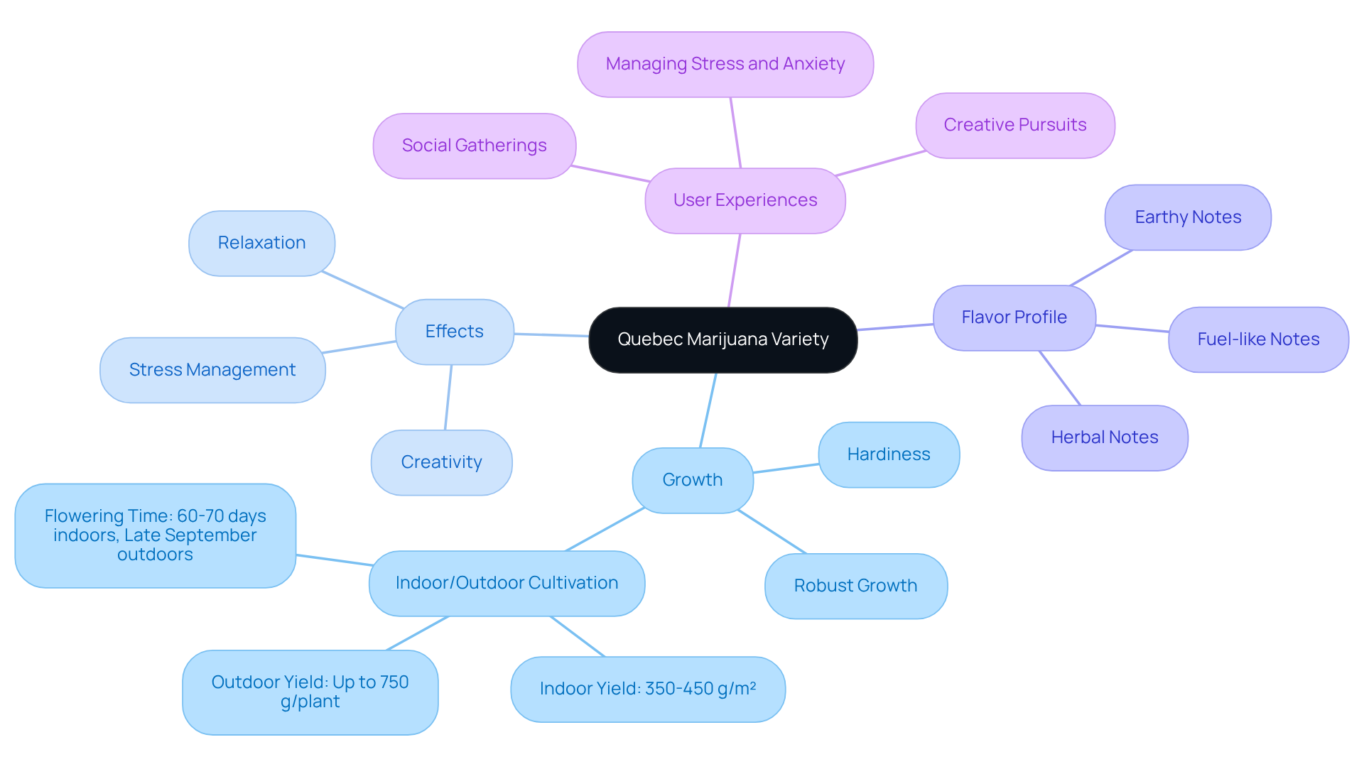 This mindmap explores the Quebec marijuana variety. Start at the center to learn about its growth qualities, effects, flavor, and how users find it beneficial for different activities.
