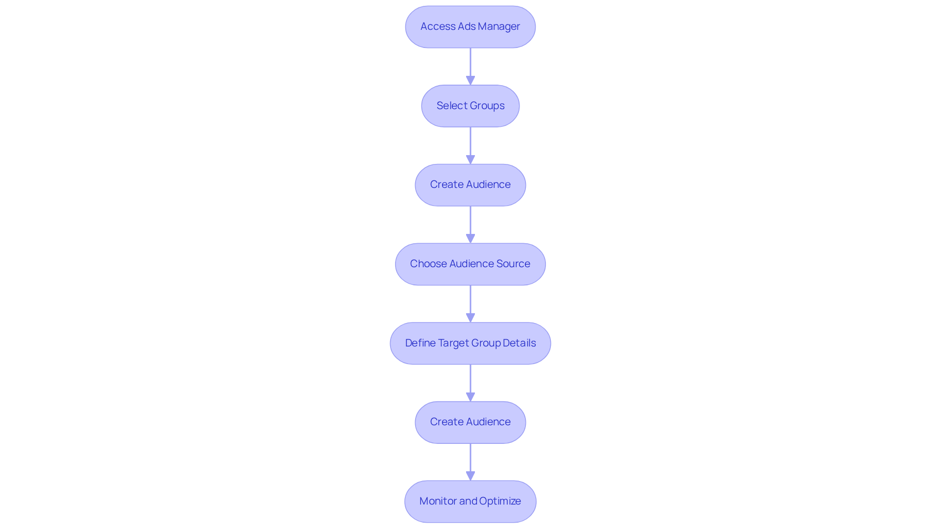 Each box represents a step in the process of creating your custom audience. Follow the arrows to see how to move from one step to the next, ensuring you don't miss any important actions!