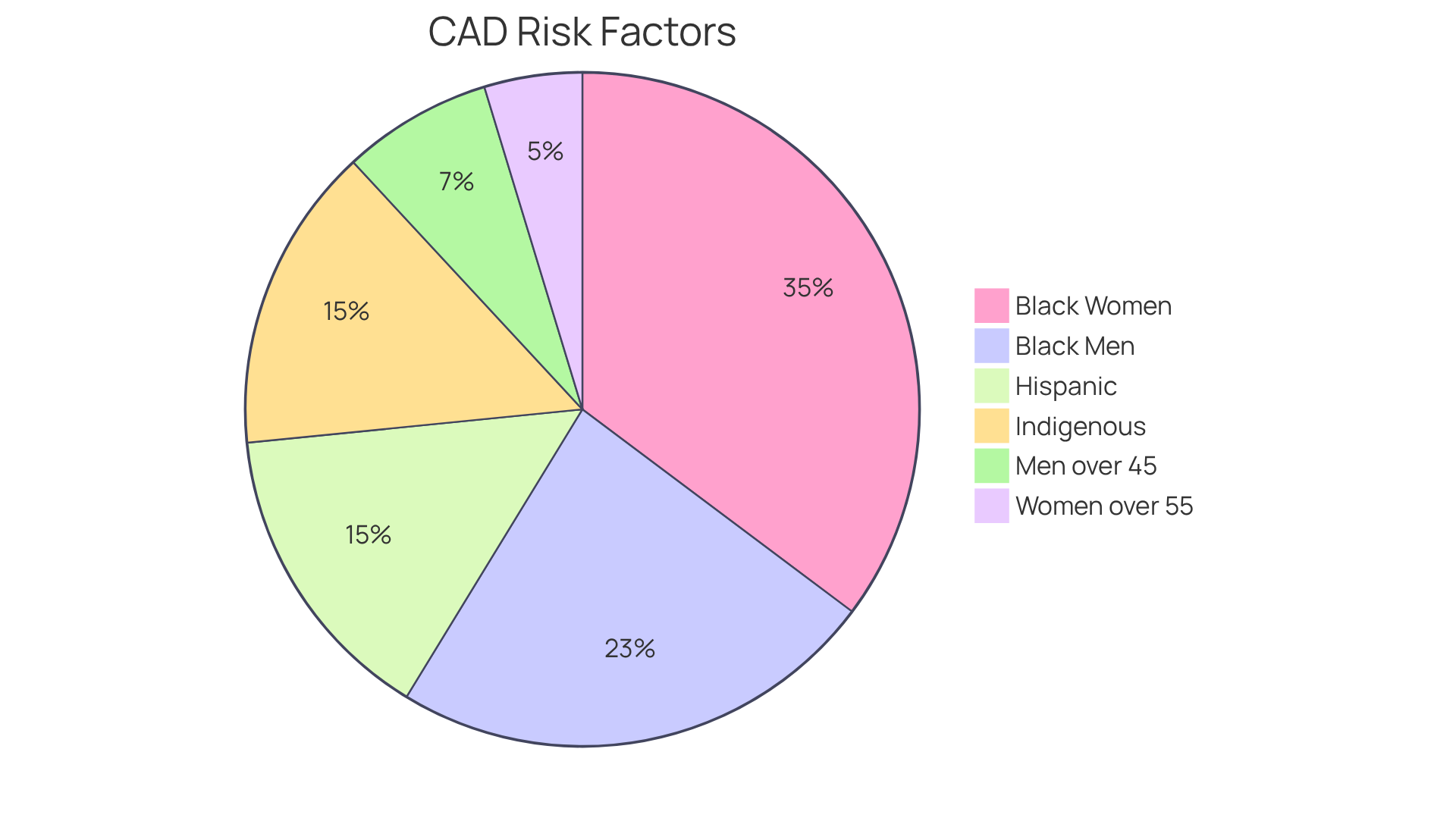 Each segment of the pie chart shows the risk associated with different age groups and ethnicities. The larger the segment, the greater the risk factor for coronary artery disease.