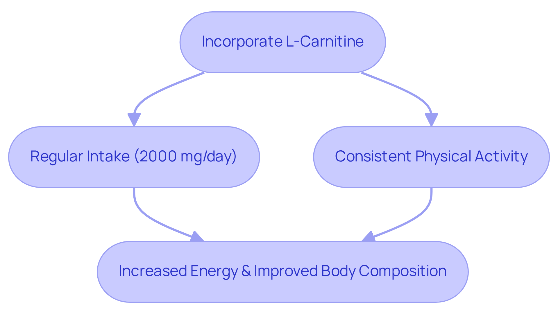 Follow the arrows to see how taking L-Carnitine and staying active can lead to more energy and better body composition. Each step shows how these actions connect to the benefits you can experience.