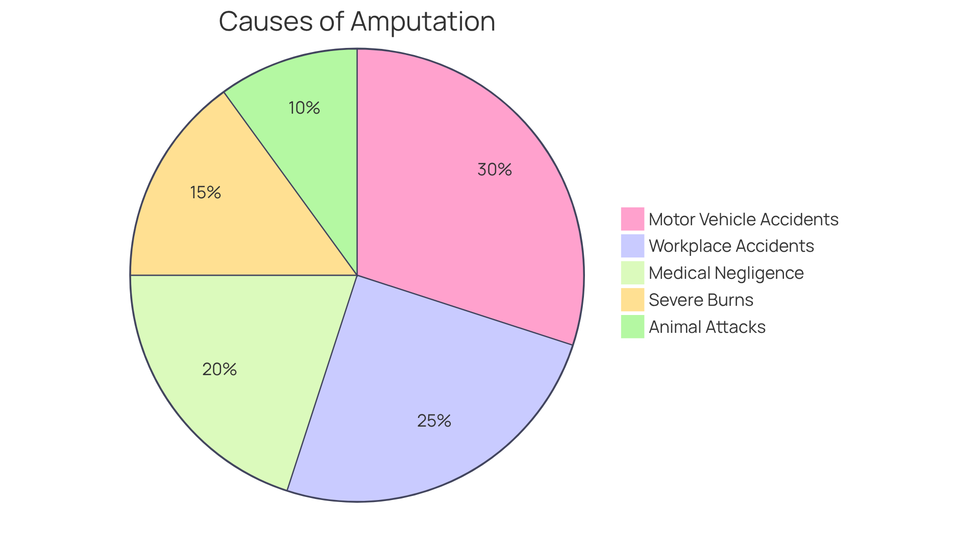 Each slice of the pie shows a different cause of amputation injuries. The size of each slice indicates how significant that cause is compared to the others - larger slices mean more common causes. Each slice of the pie shows a different cause of amputation injuries. The size of each slice indicates how significant that cause is compared to the others - larger slices mean more common causes.