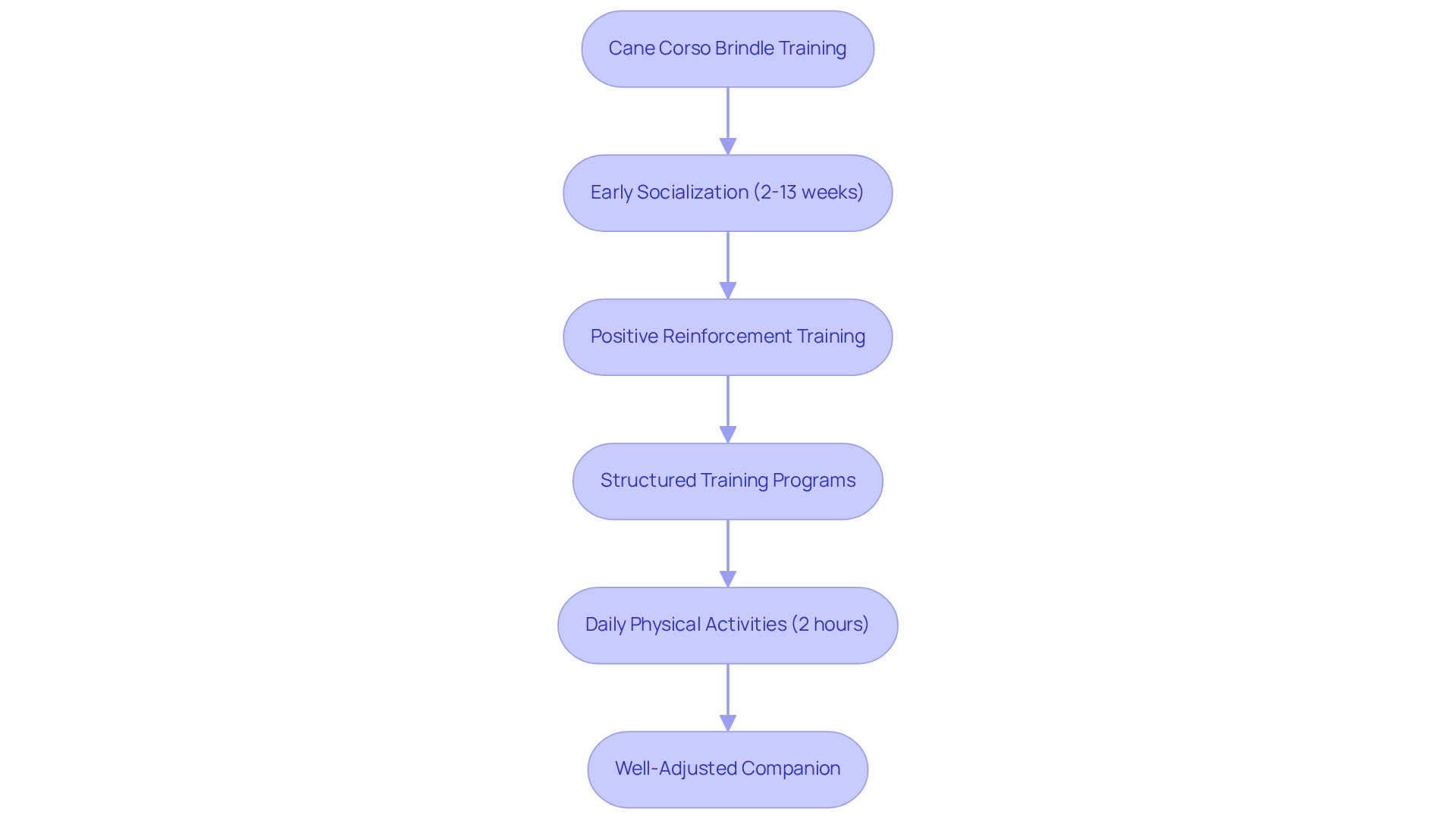 Each box represents a step in the training process — follow the arrows to see how to guide your Cane Corso brindle toward being a well-adjusted companion.