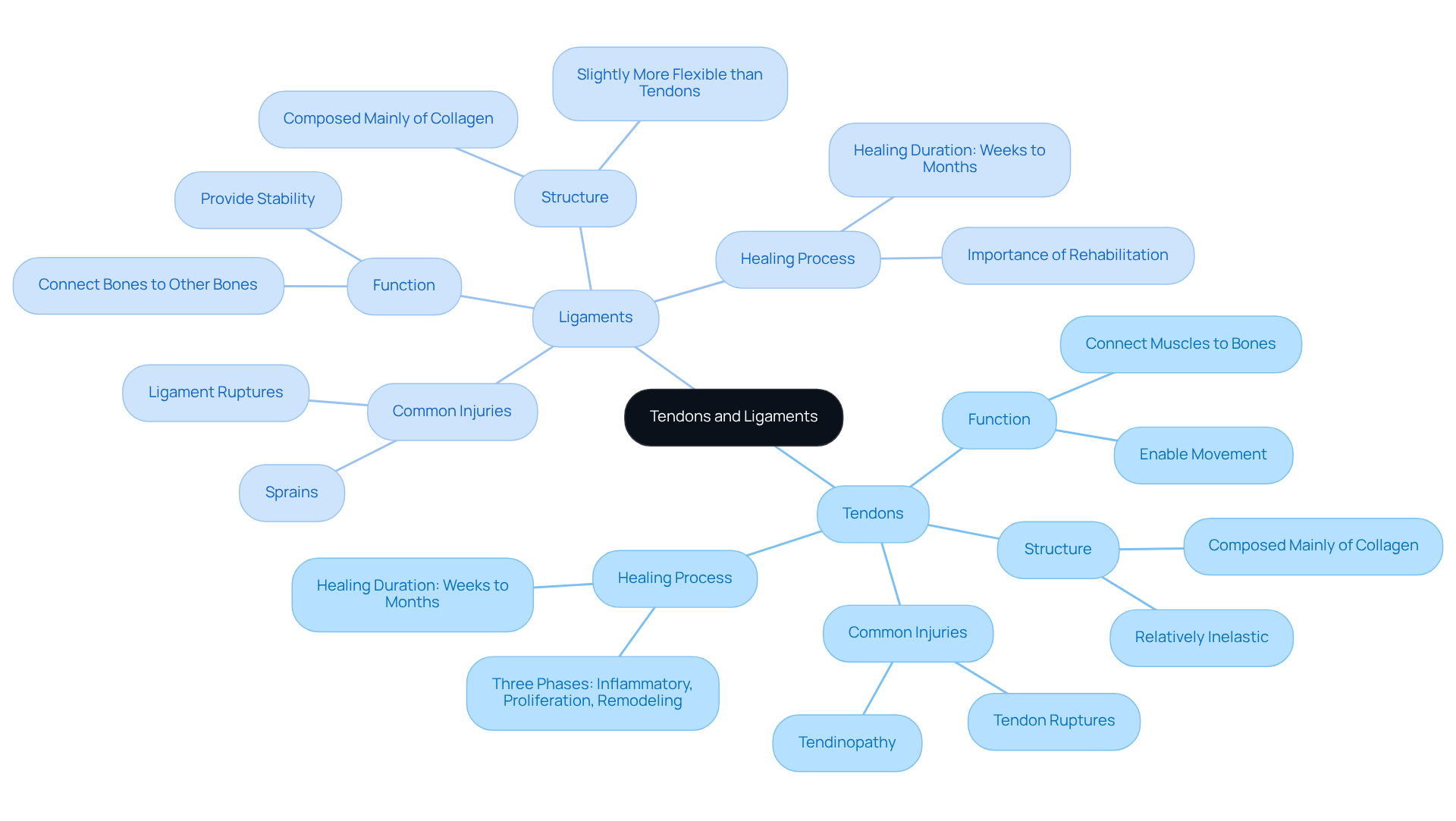 This mindmap illustrates the key differences and similarities between tendons and ligaments. Each branch represents important aspects of these connective tissues, helping you visualize their roles in the body and how they relate to injuries and healing.