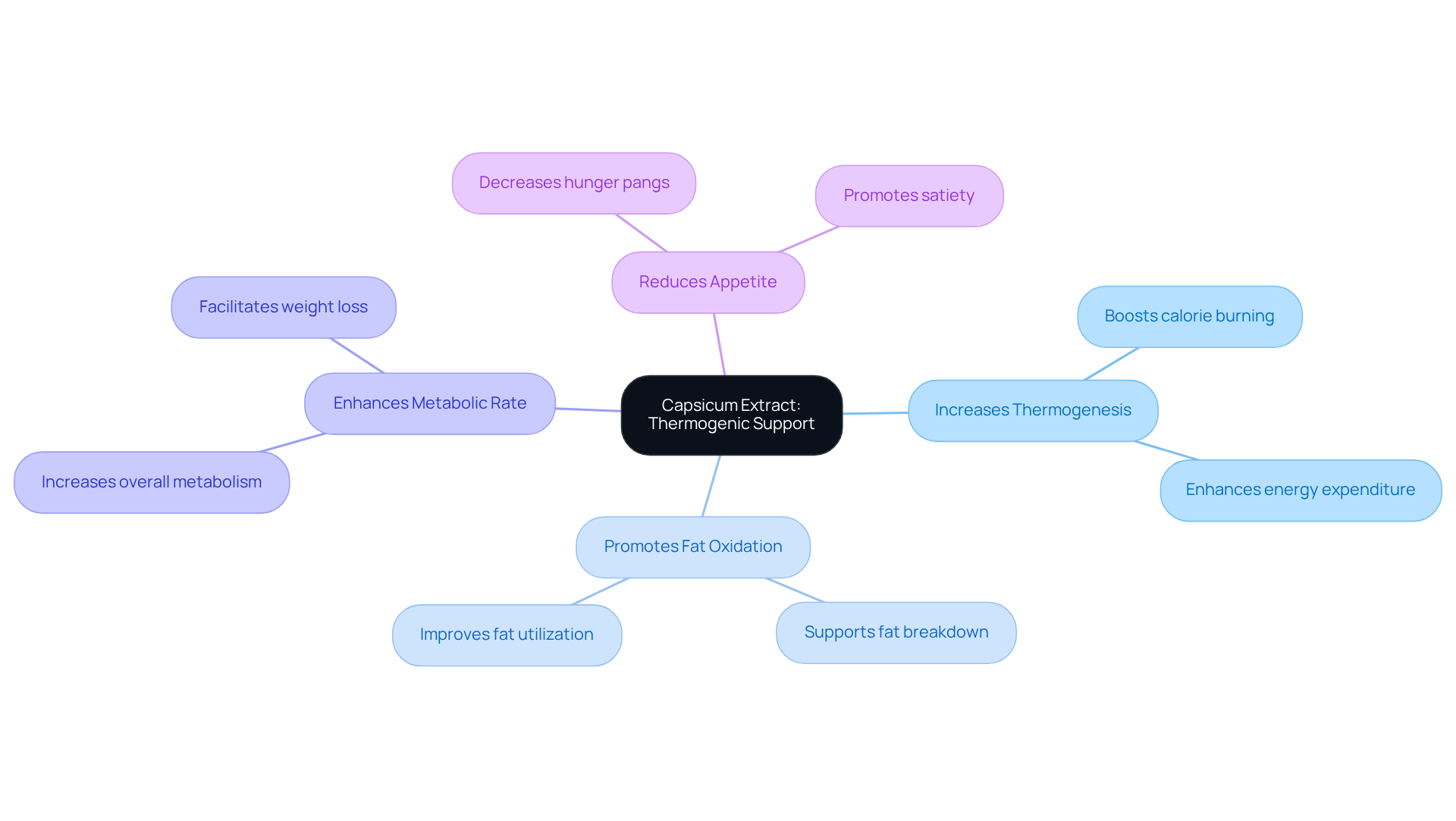 The central node represents capsicum extract, while the branches show its various benefits. Each benefit connects back to the main idea, illustrating how they collectively support weight loss efforts. The central node represents capsicum extract, while the branches show its various benefits. Each benefit connects back to the main idea, illustrating how they collectively support weight loss efforts.