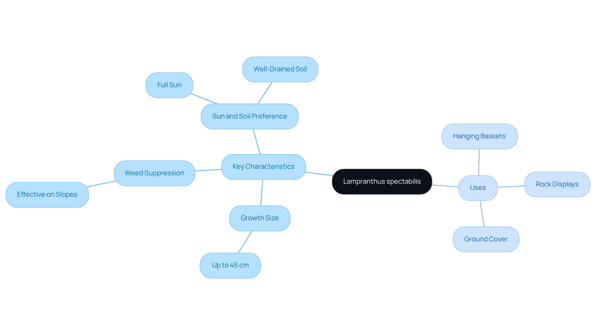 This mindmap shows the key features and uses of Lampranthus spectabilis. Start at the center with the plant's name, then follow the branches to learn about its characteristics and how you can use it in your garden.
