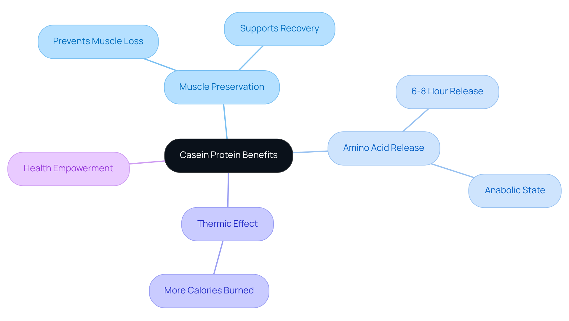 This mindmap shows how casein protein helps maintain muscle during fat loss. Start at the center with the main topic, then explore the branches to see how its properties contribute to health and vitality, especially for older adults. This mindmap shows how casein protein helps maintain muscle during fat loss. Start at the center with the main topic, then explore the branches to see how its properties contribute to health and vitality, especially for older adults.