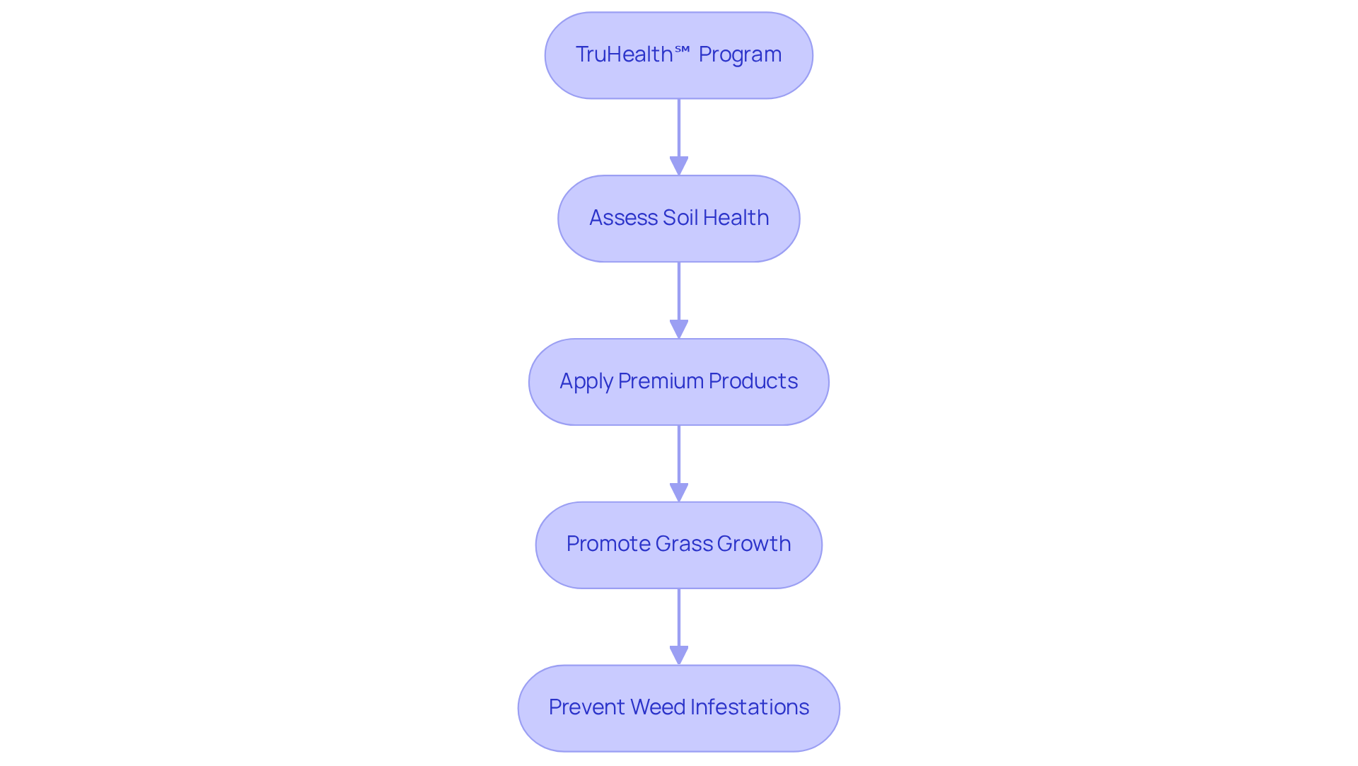 Follow the arrows to see how each step in the TruHealth℠ program works together to create a lush, vibrant lawn. Each box represents an important action you can take to improve your yard.