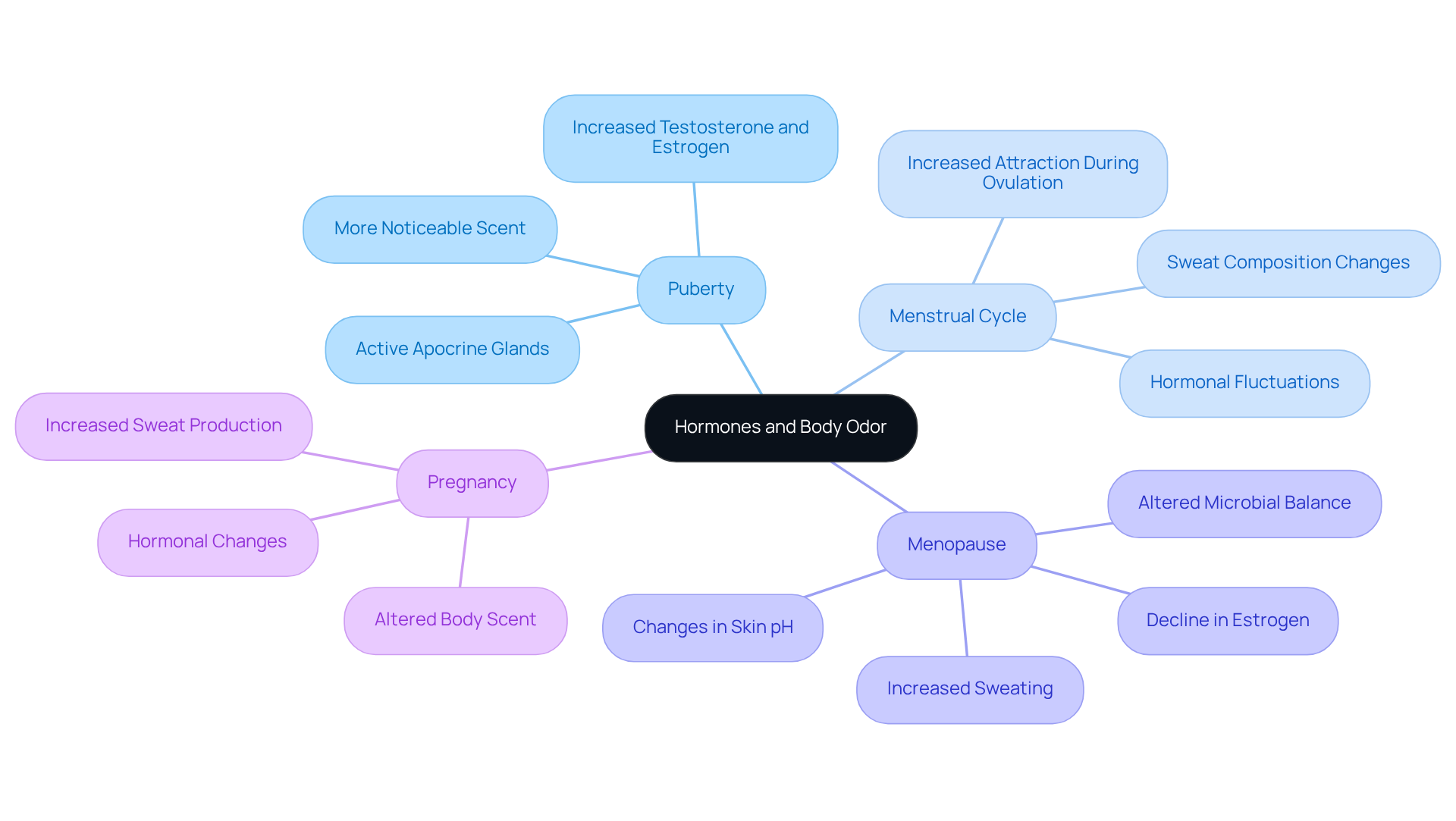 This mindmap illustrates how different hormonal changes at various life stages affect body odor. Start at the center with the main idea, then explore each branch to see how hormones influence scent during puberty, the menstrual cycle, menopause, and pregnancy. This mindmap illustrates how different hormonal changes at various life stages affect body odor. Start at the center with the main idea, then explore each branch to see how hormones influence scent during puberty, the menstrual cycle, menopause, and pregnancy.