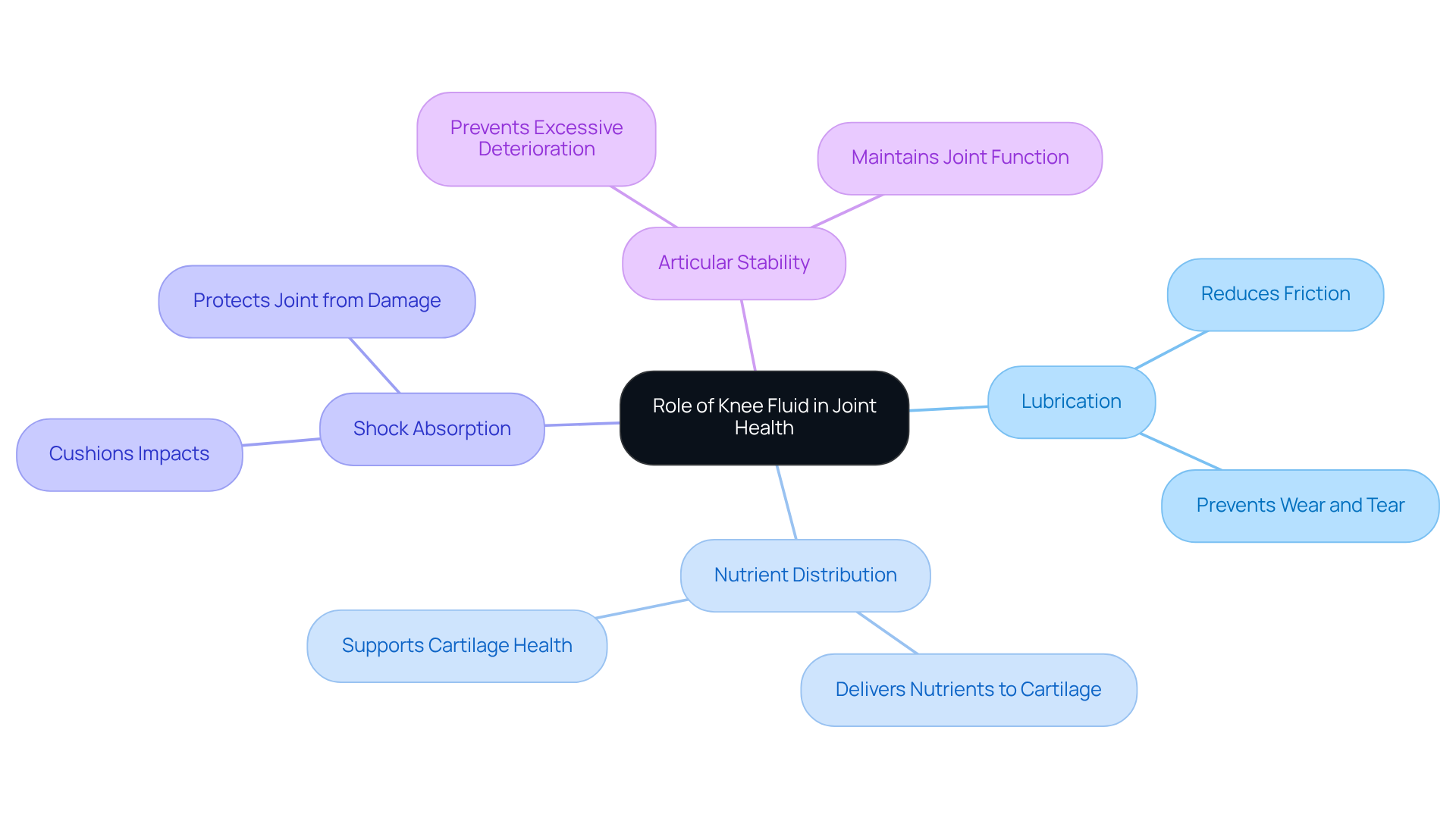 The central node represents the overall topic, while each branch highlights a specific function of knee fluid. The sub-branches provide more details about how each function supports joint health.