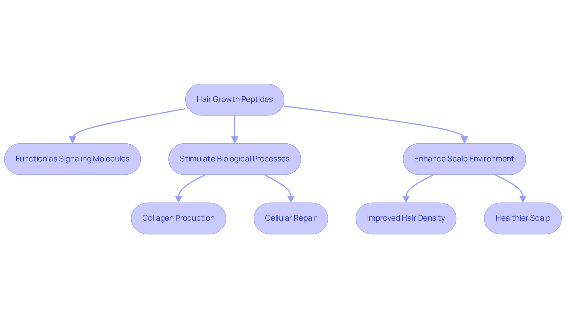 This flowchart illustrates how hair growth peptides work. Start at the top with the peptides, then follow the arrows to see how they function and the positive effects they have on hair health. Each step shows a key part of the process, helping you understand how these peptides can lead to healthier hair.