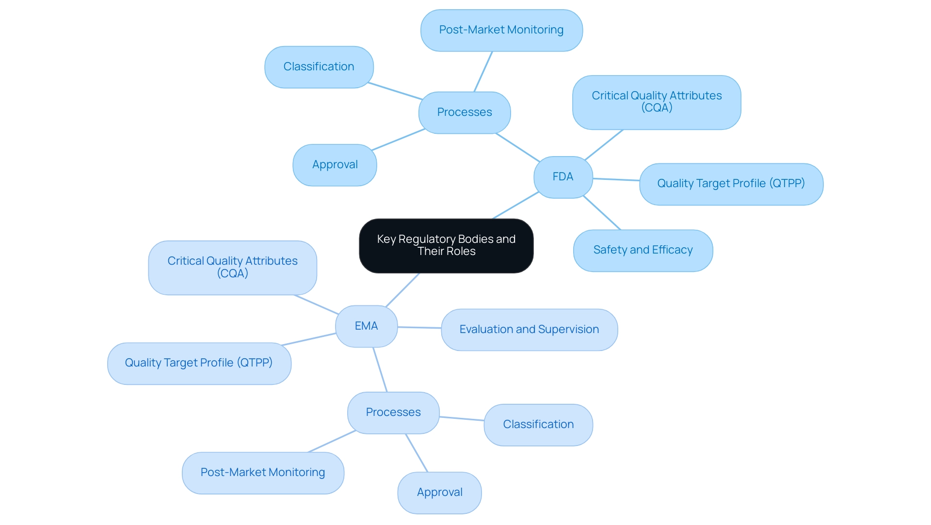 The central node represents the overall topic, with branches indicating the two key regulatory bodies (FDA and EMA) and their respective roles and processes.