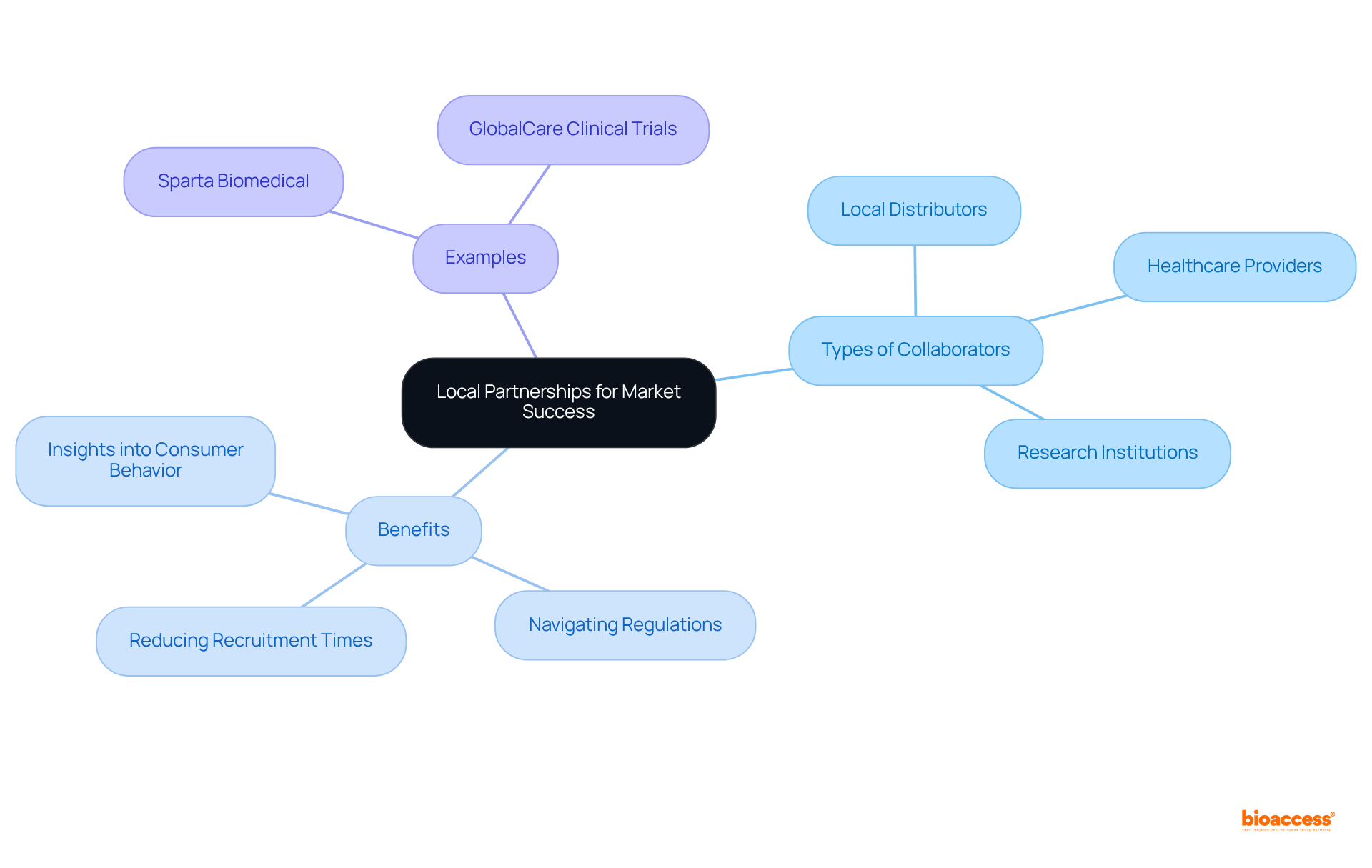 The central concept is local partnerships, and the branches show different collaborators, the advantages of these collaborations, and real-world examples that illustrate the impact of these partnerships.