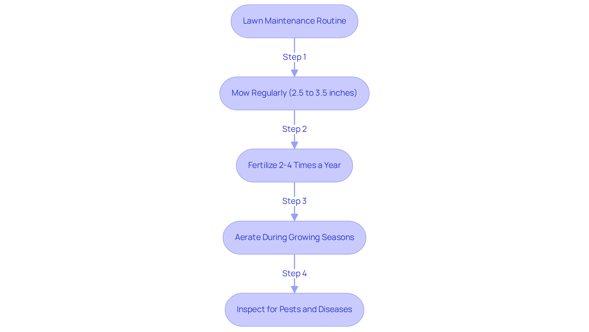 Follow the arrows to see the steps for maintaining a healthy lawn. Each box represents an important action to take, and the notes explain why it's crucial for your turf's health.