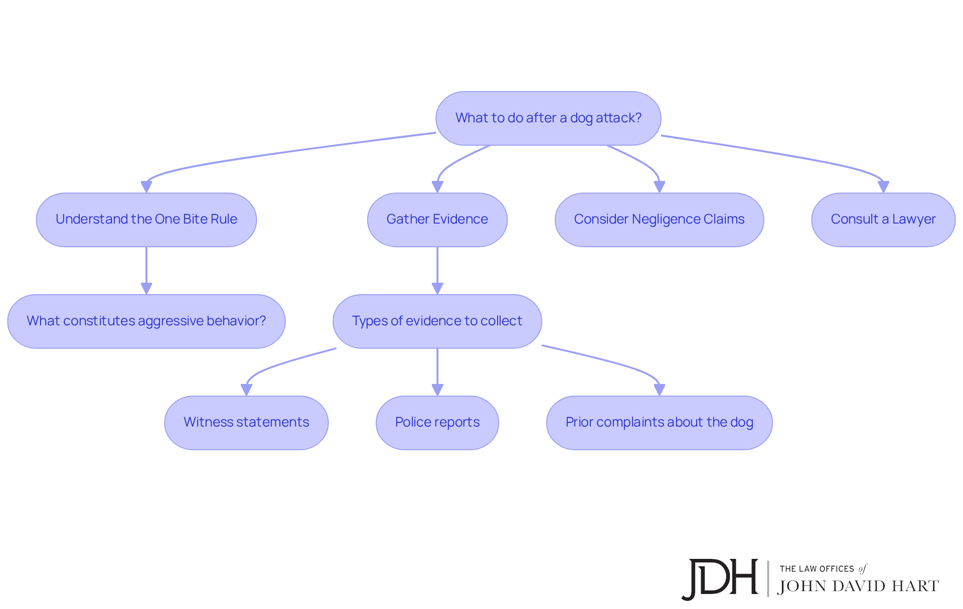 This flowchart guides you through the process of understanding your rights after a dog attack. Start at the top with the main question, then follow the arrows to see what steps you should take next, including understanding the law, gathering evidence, and seeking legal help.