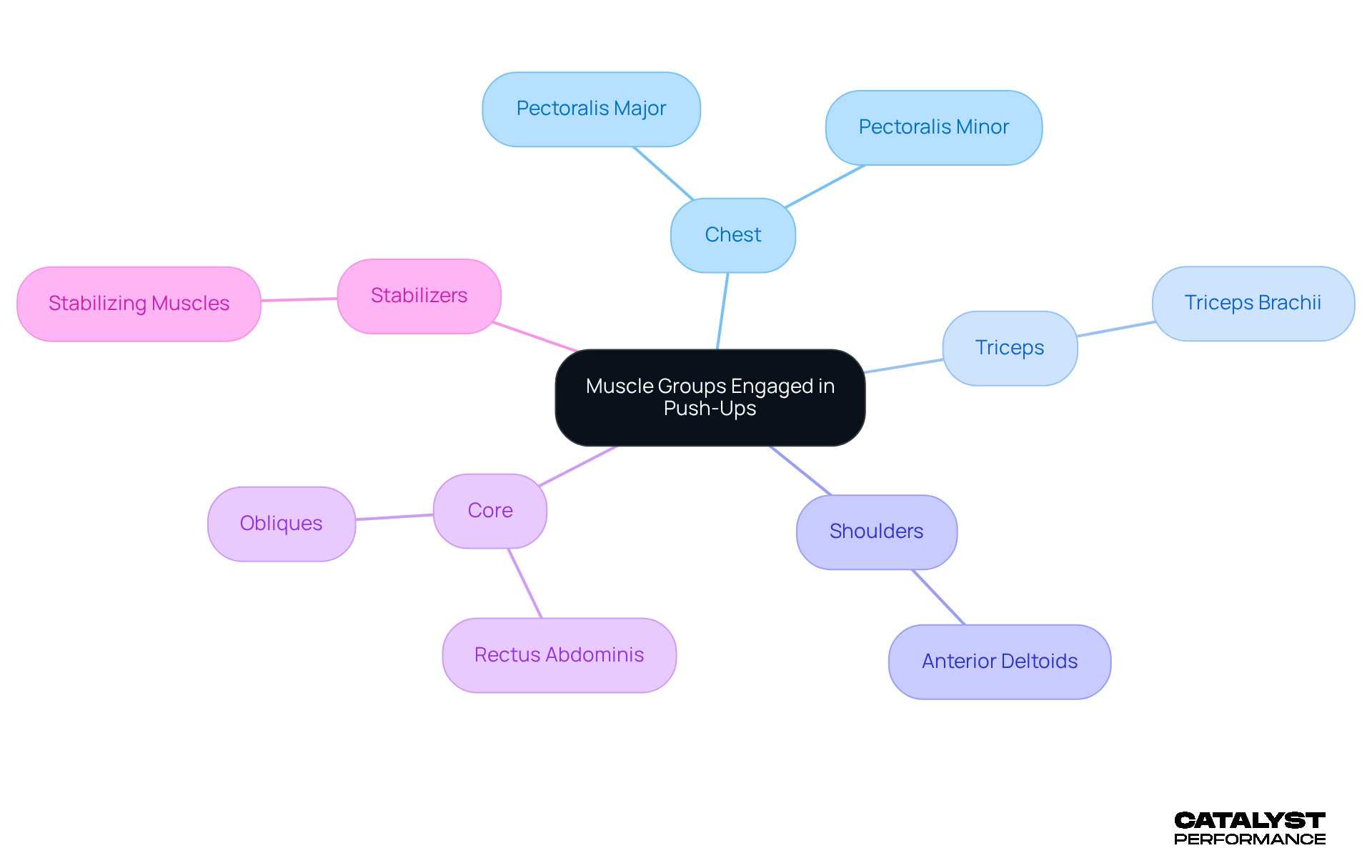 The central node represents the overall exercise, while each branch shows a different muscle group involved in push-ups. The sub-branches detail specific muscles, illustrating how they work together to enhance your strength and fitness.
