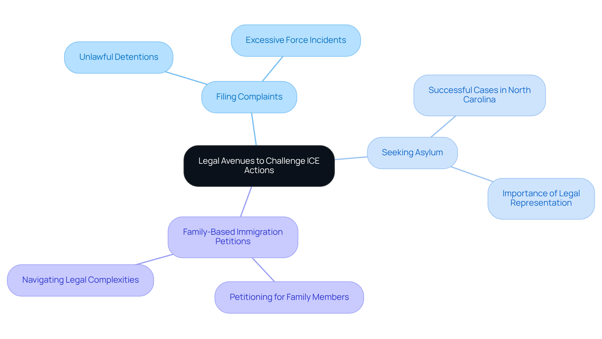 This mindmap shows the different ways immigrant workers can challenge ICE actions. Start at the center with the main idea, then follow the branches to see specific actions you can take. Each branch represents a different legal option, and the sub-branches provide more details about those options.