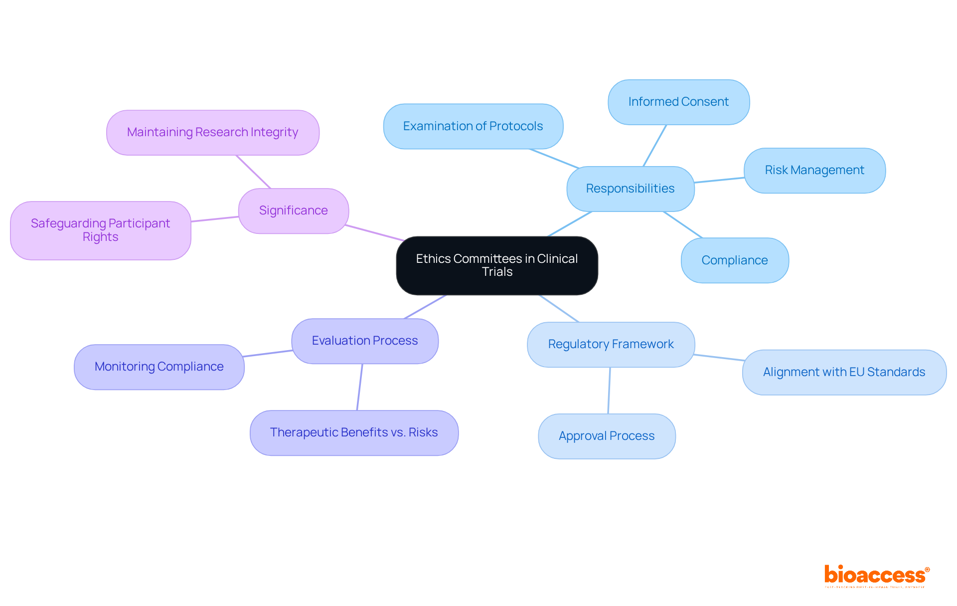 The central node represents the main topic, while branches show the various responsibilities and processes involved. Each color-coded branch helps you quickly identify different aspects of ethics committee oversight.
