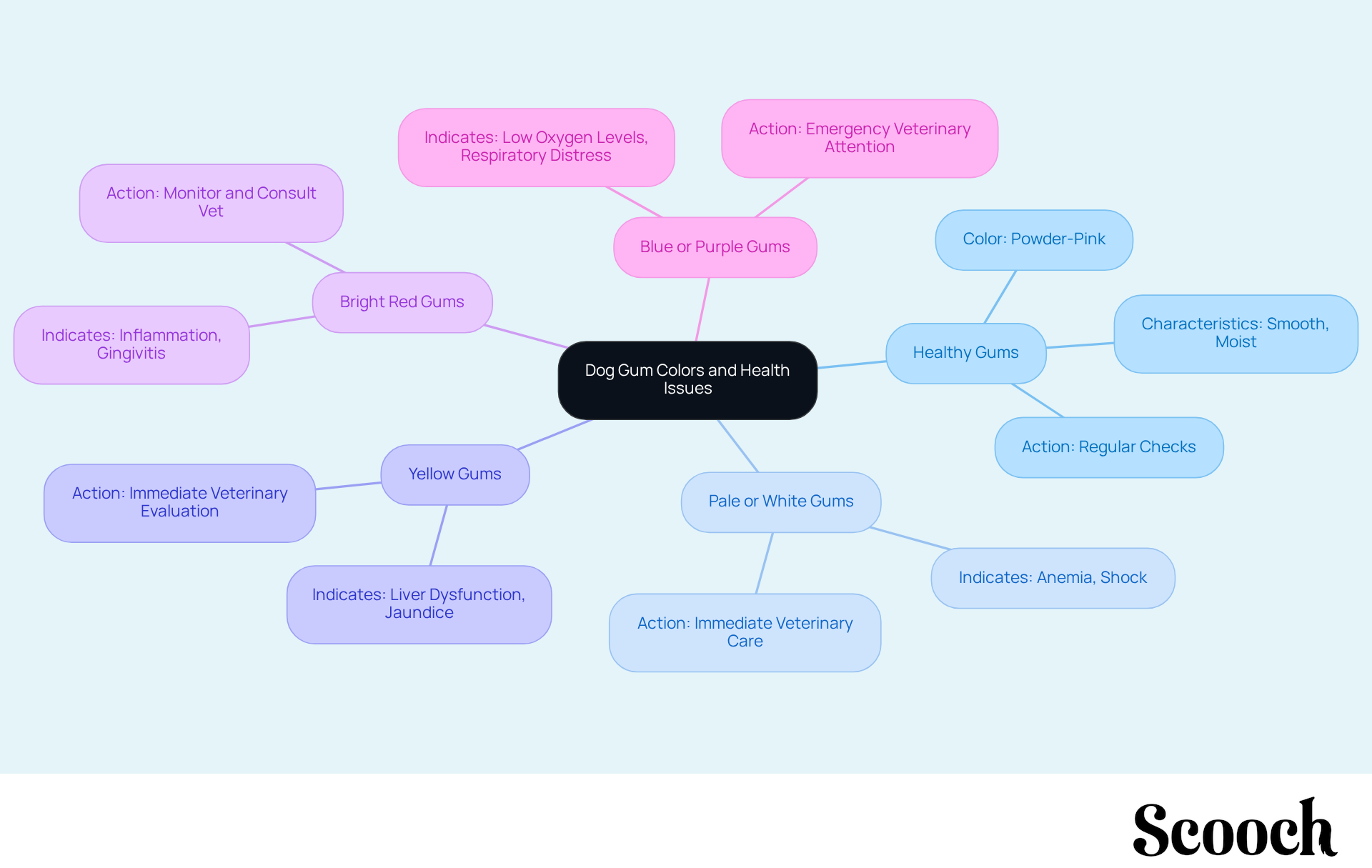 Master the Normal Dog Gum Color Chart for Your Dog's Health