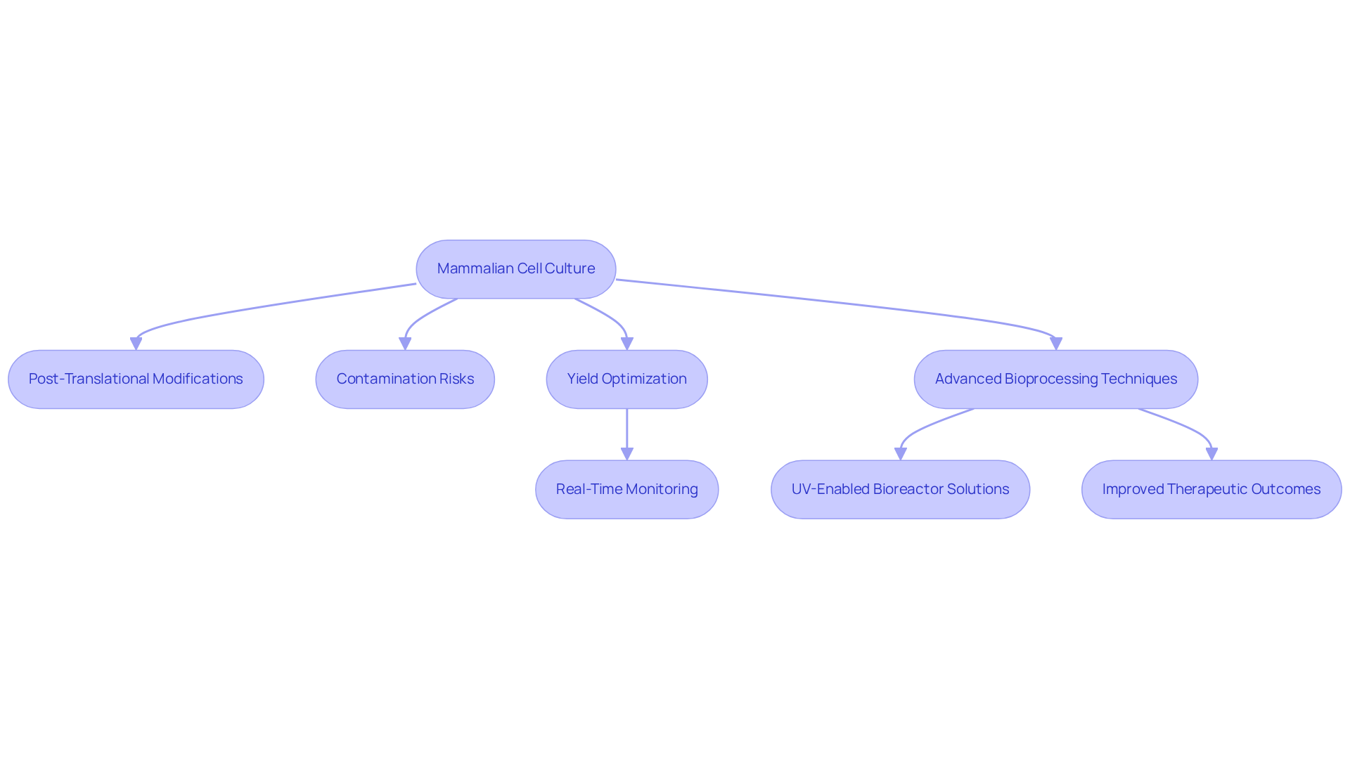 This flowchart outlines the steps involved in mammalian cell culture for protein production. Follow the arrows to see how each step connects and contributes to overcoming challenges and enhancing production efficiency. This flowchart outlines the steps involved in mammalian cell culture for protein production. Follow the arrows to see how each step connects and contributes to overcoming challenges and enhancing production efficiency.