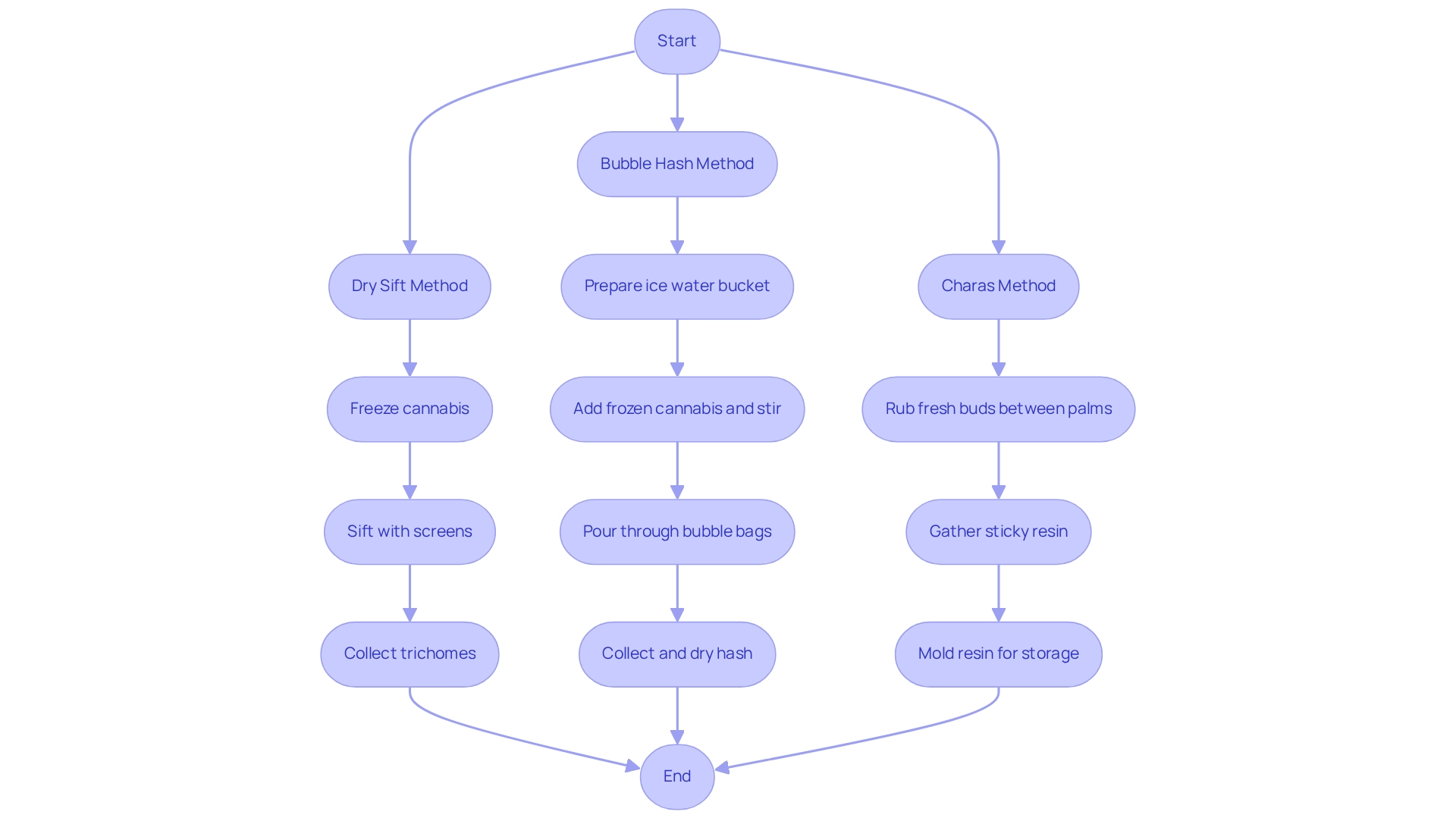 Each branch of the flowchart represents a different method for making hash. Follow the arrows to see each step in the process, from preparation to the final product. Different colors help you distinguish between the methods.