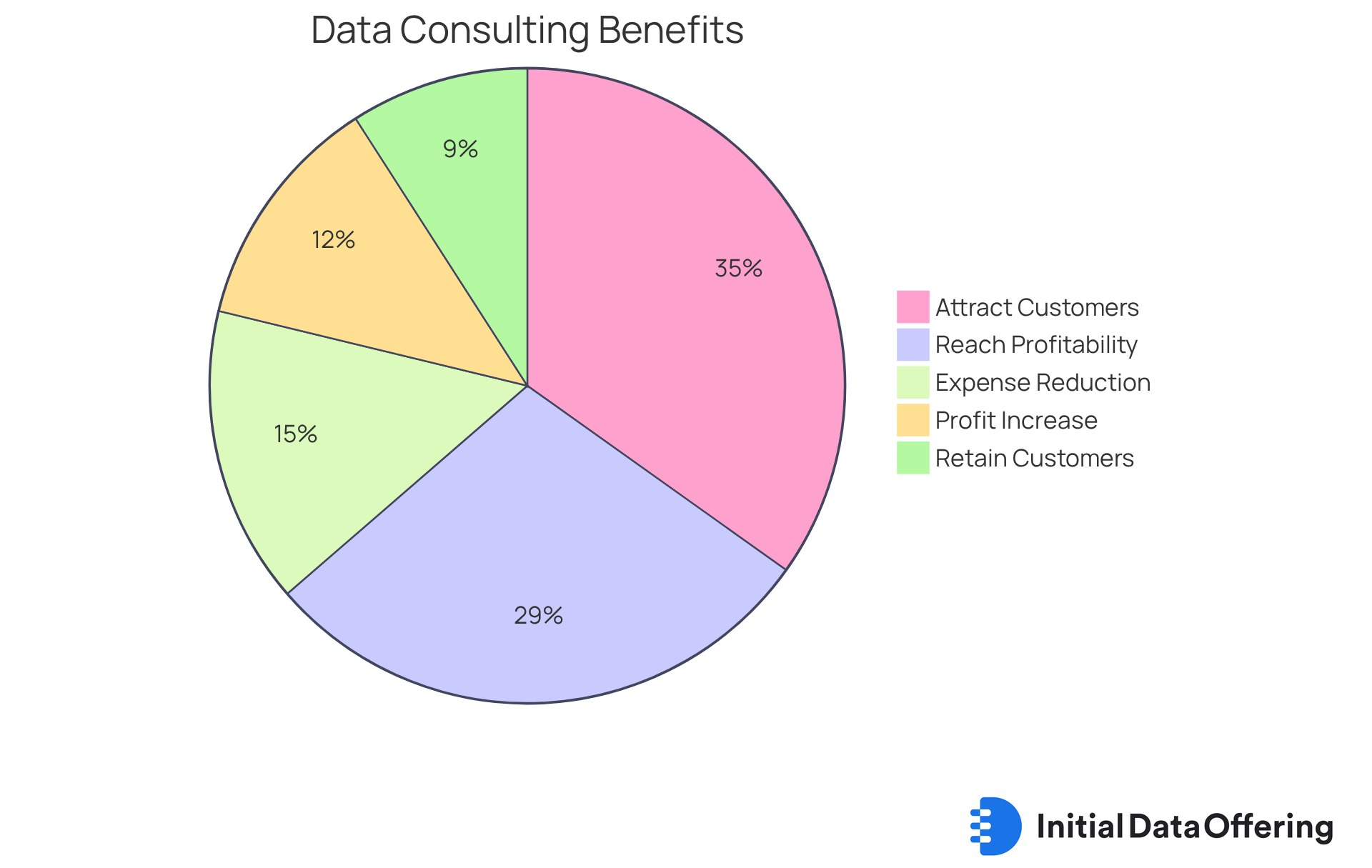 Each slice of the pie shows a specific benefit of using IBM's data consulting services. The larger the slice, the more significant the impact — from profit increases to the likelihood of attracting and retaining customers.