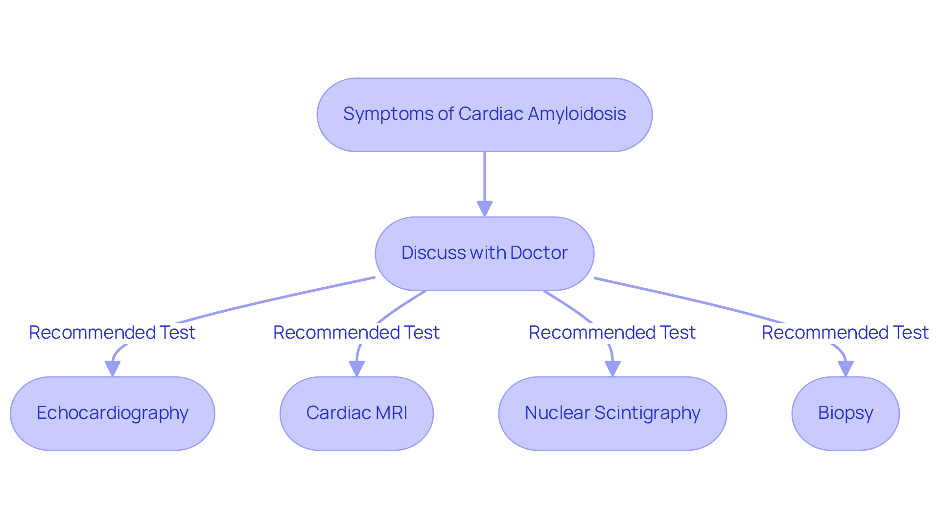 Each box represents a step in the diagnostic process. Symptoms lead to a conversation with a doctor, who may recommend specific tests to confirm the presence of cardiac amyloidosis.
