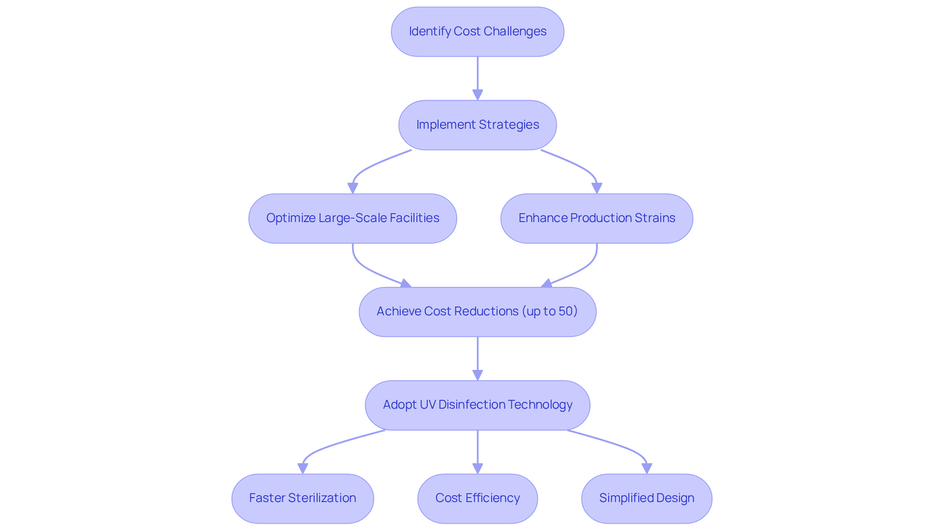 Follow the arrows to see how each step leads to the next. Starting from identifying challenges, you can see how implementing strategies and adopting new technologies can lead to significant cost reductions and efficiency improvements.