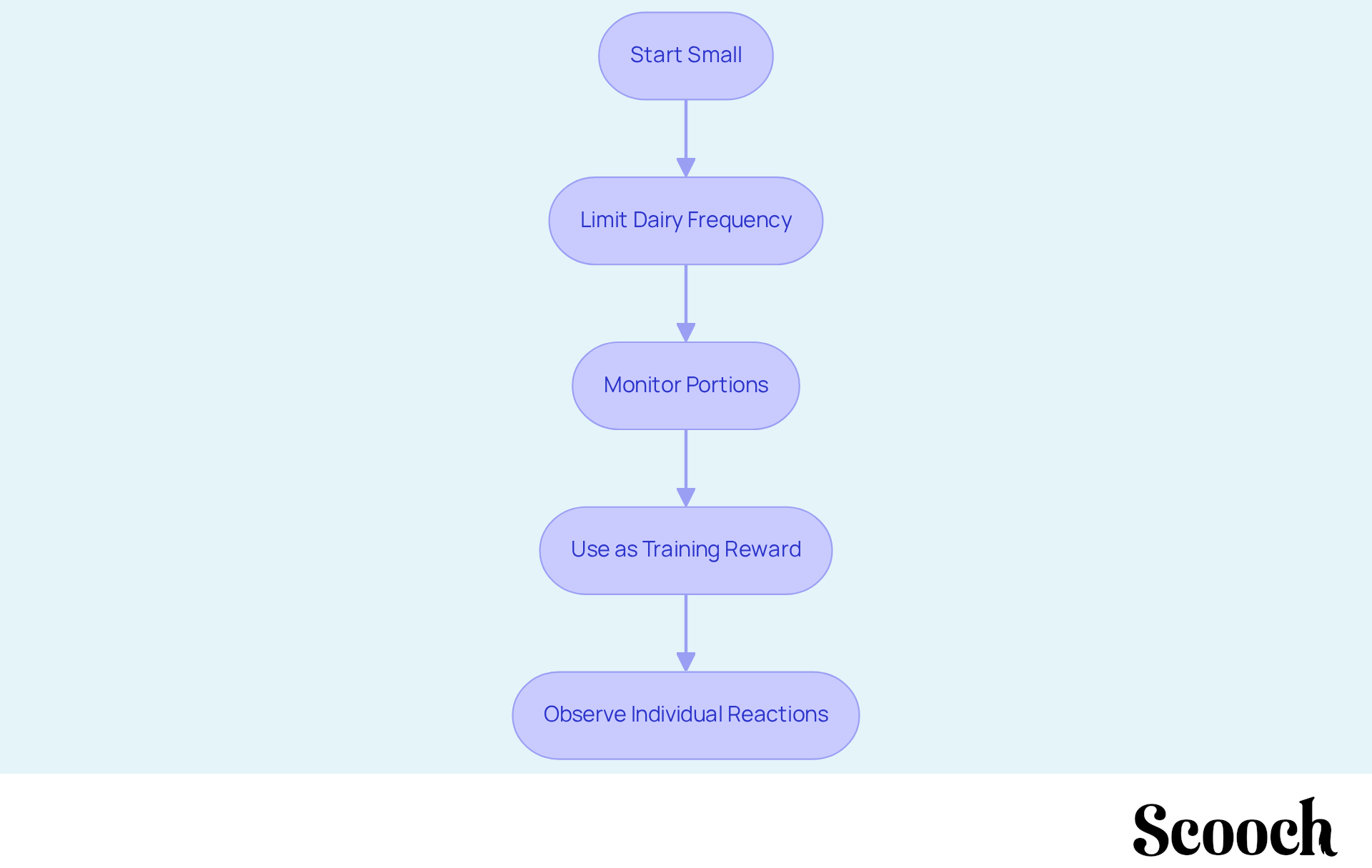 Each box represents a guideline for introducing cheese into your dog's diet — follow the arrows to ensure you're taking the right steps for your furry friend.