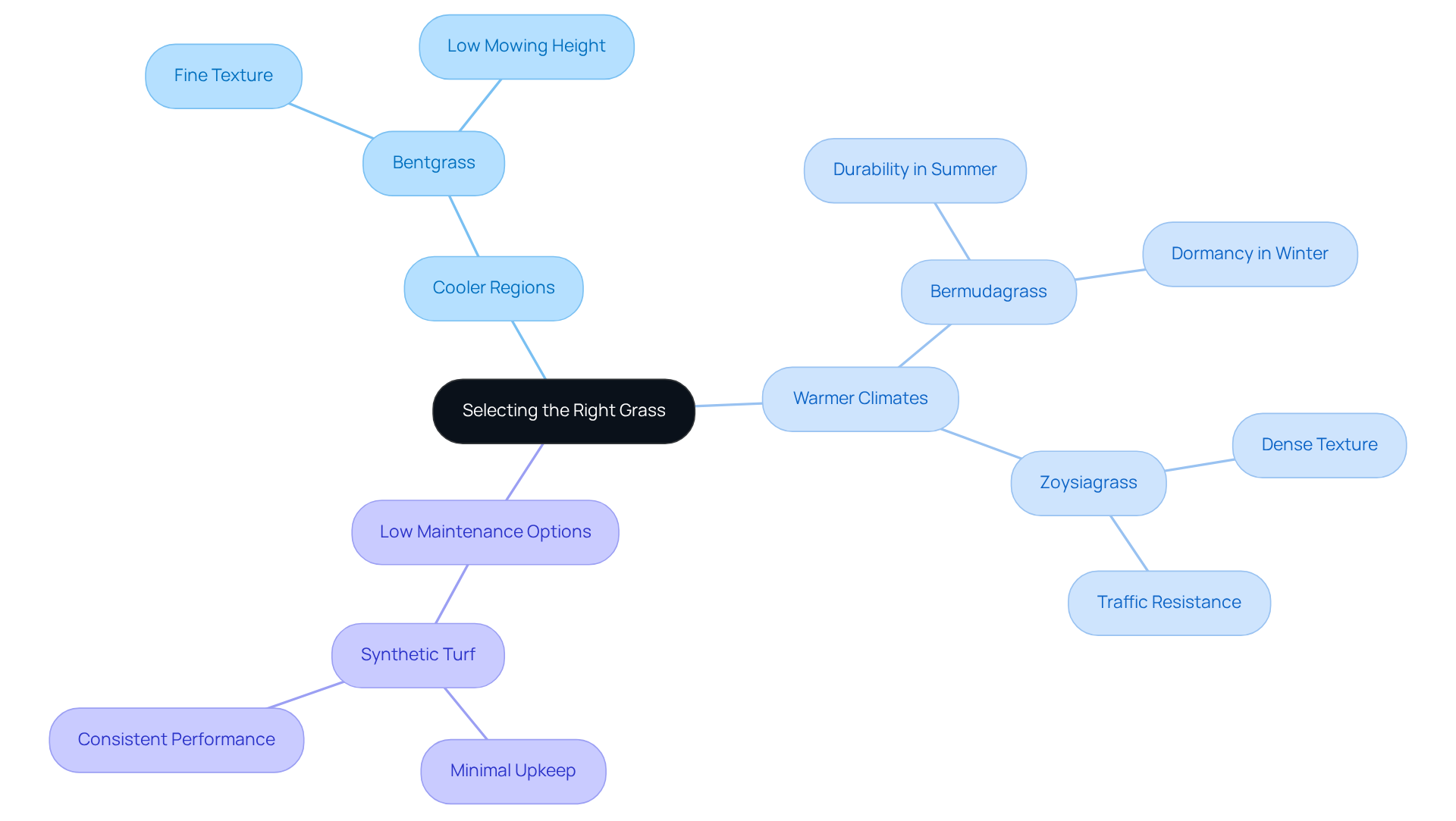 Start at the center with the main topic of grass selection, then follow the branches to explore different types of grass and their specific advantages based on climate and maintenance needs. Start at the center with the main topic of grass selection, then follow the branches to explore different types of grass and their specific advantages based on climate and maintenance needs.