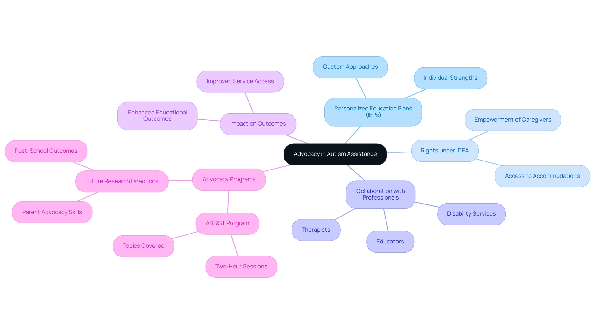 The central node represents advocacy in autism assistance, with branches showing key components and their relationships.