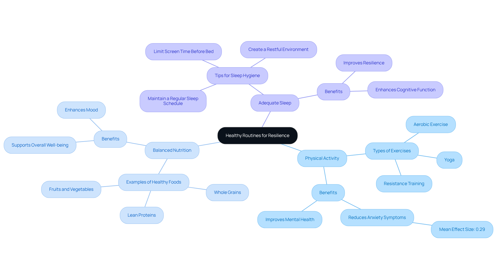 Start at the center with the main theme of Healthy Routines. Branch out to see how each area contributes to resilience — follow the connections to understand how they work together to support mental health.
