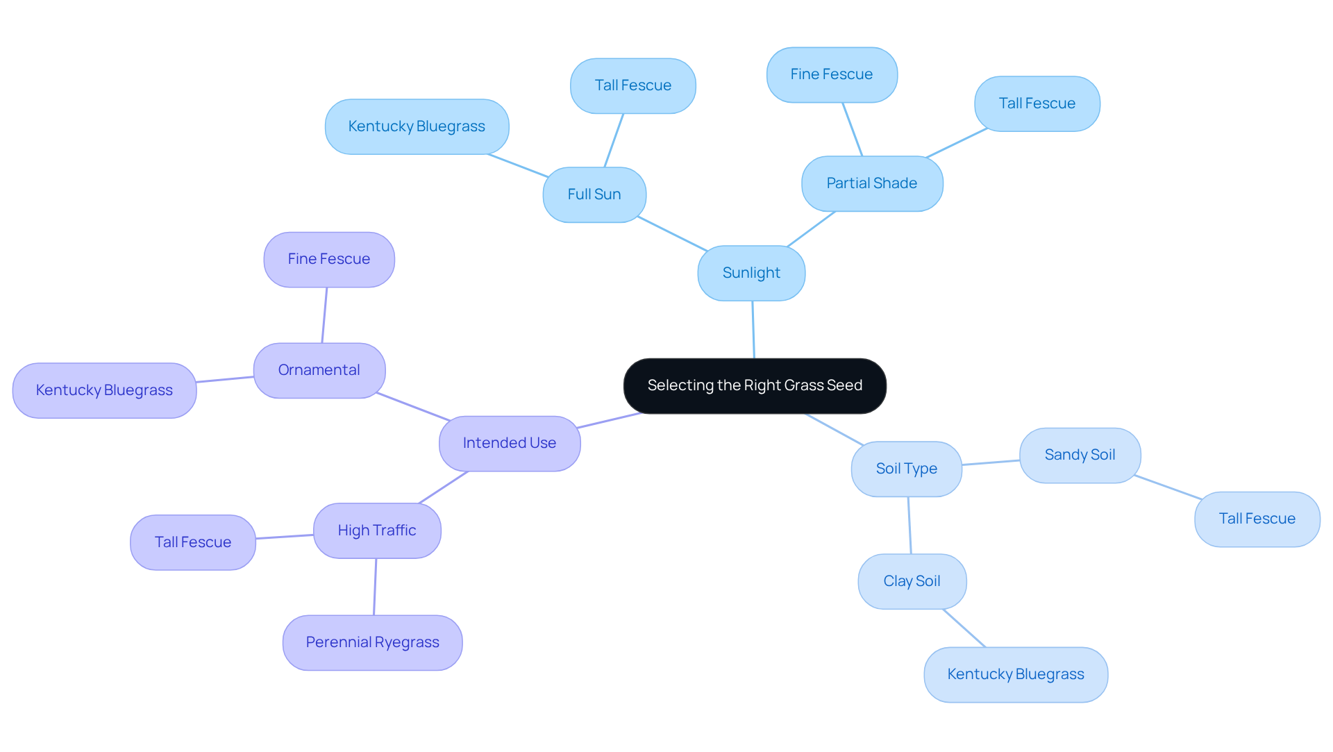 The center shows the main topic of grass seed selection. Follow the branches to explore key factors that influence your choice, and see specific grass types that are recommended for Southern Minnesota.