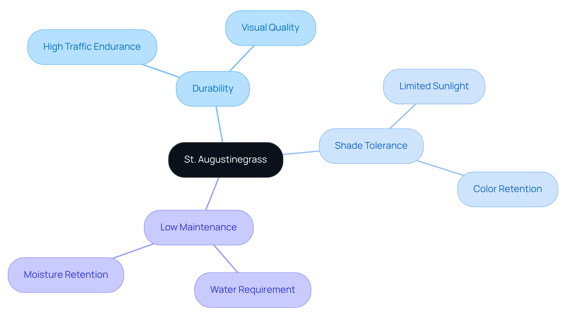 The central node represents St. Augustinegrass, with branches showing its key features. Each branch highlights an important aspect, making it easy to understand why this grass is ideal for warm, high-traffic lawns.
